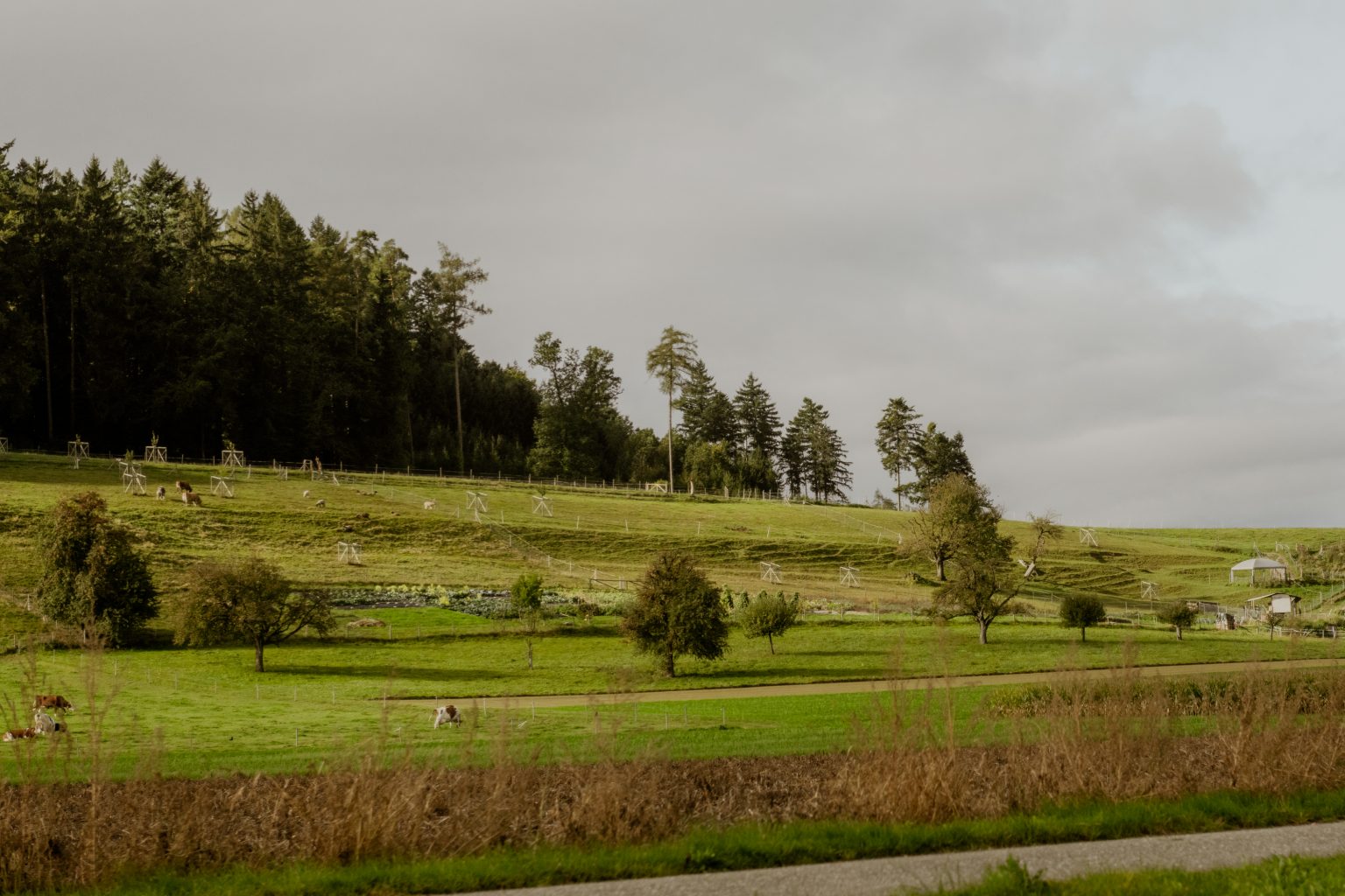 Gamper Restaurant · Zurich, Switzerland - IGNANT