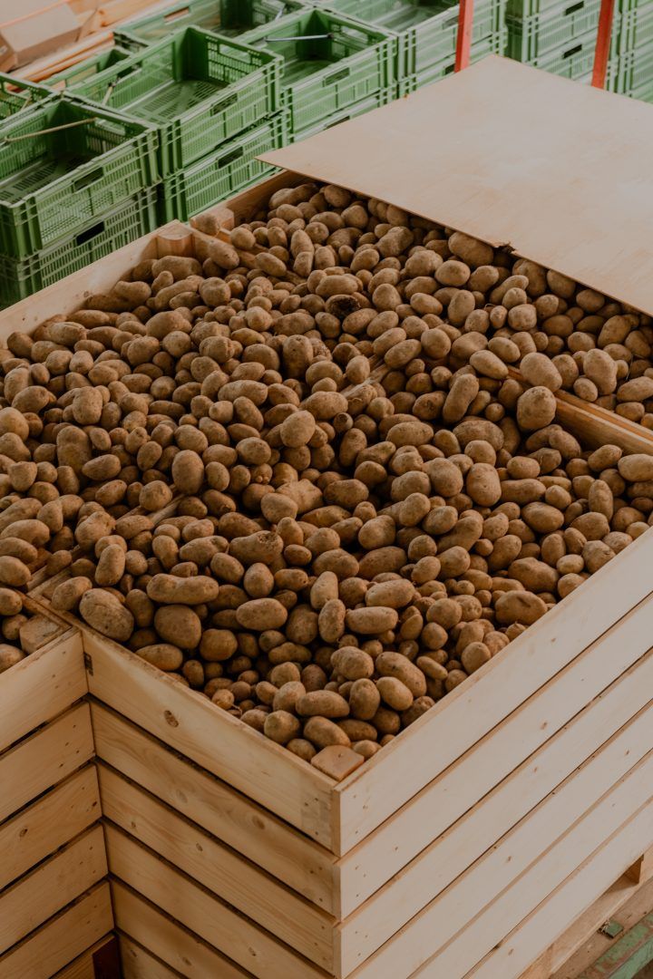 Gamper Restaurant · Zurich, Switzerland - IGNANT