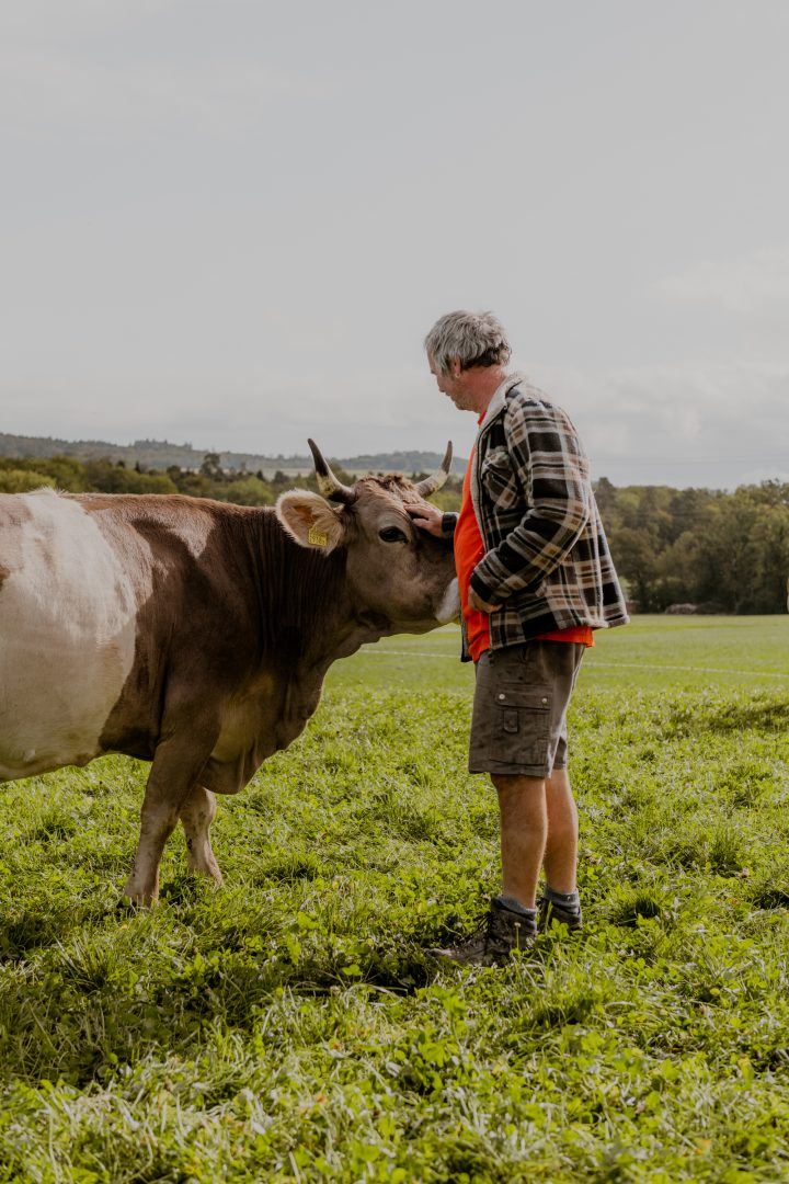 Gamper Restaurant · Zurich, Switzerland - IGNANT