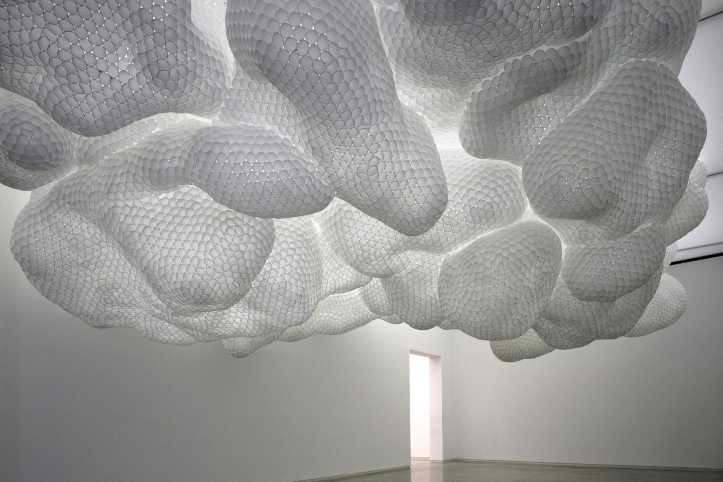 Tara Donovan Transforms Plastic Cups Into A Geomorphic Sculpture - IGNANT