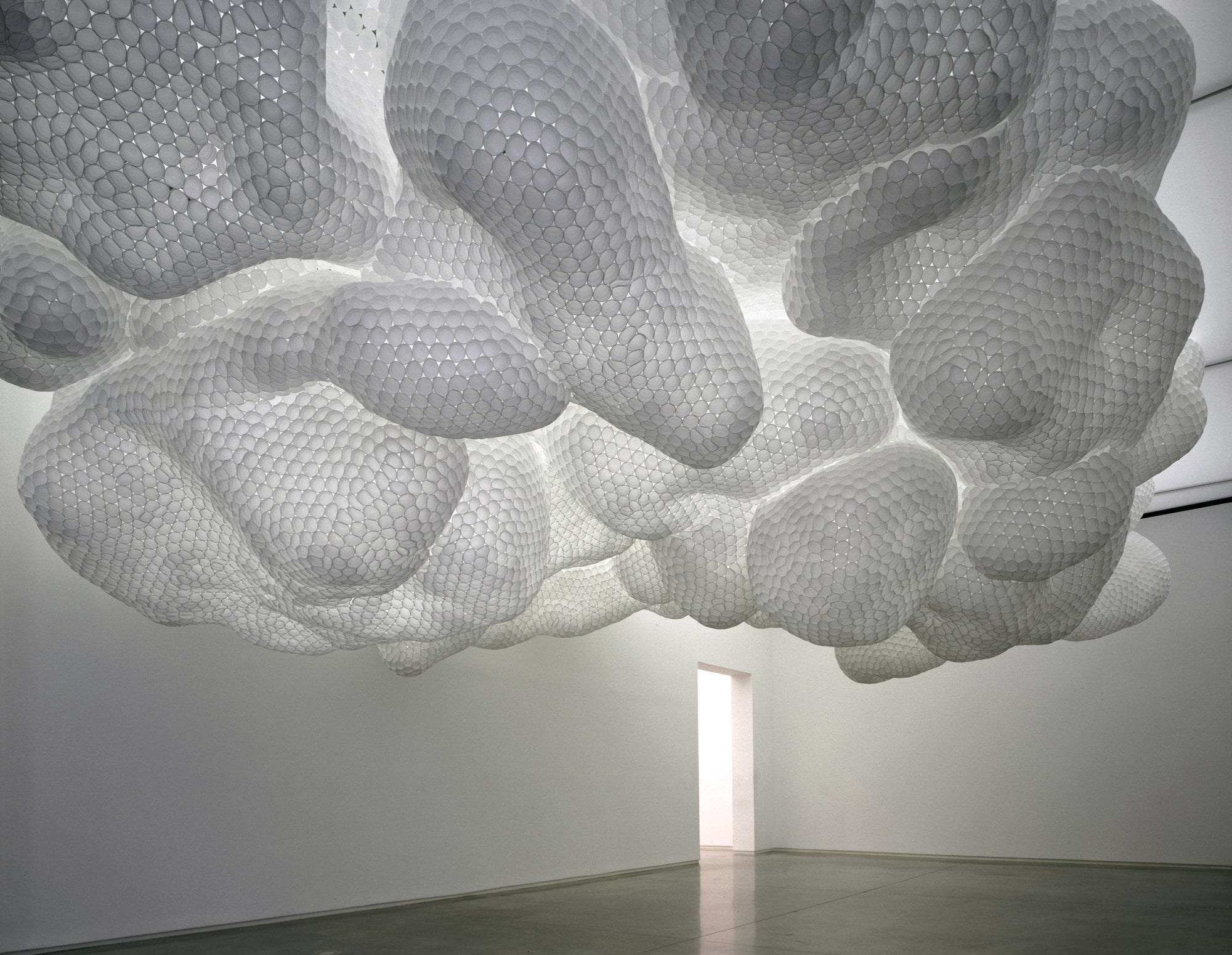 Tara Donovan’s Bulbous, Undulating Works Consider The Beauty In ...