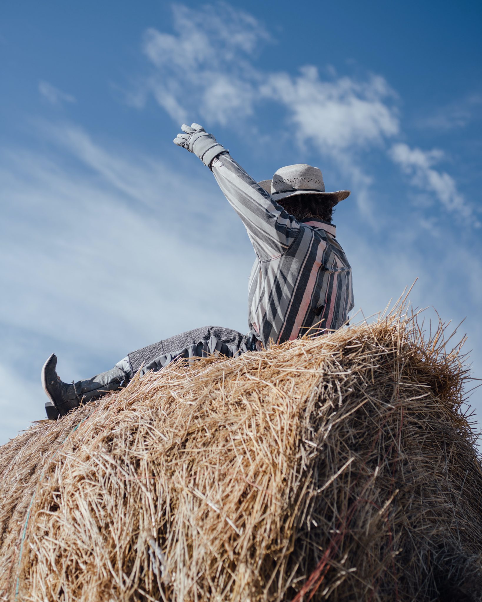 Photographer Ian Bates Follows The Meadowlark Across Northwestern ...