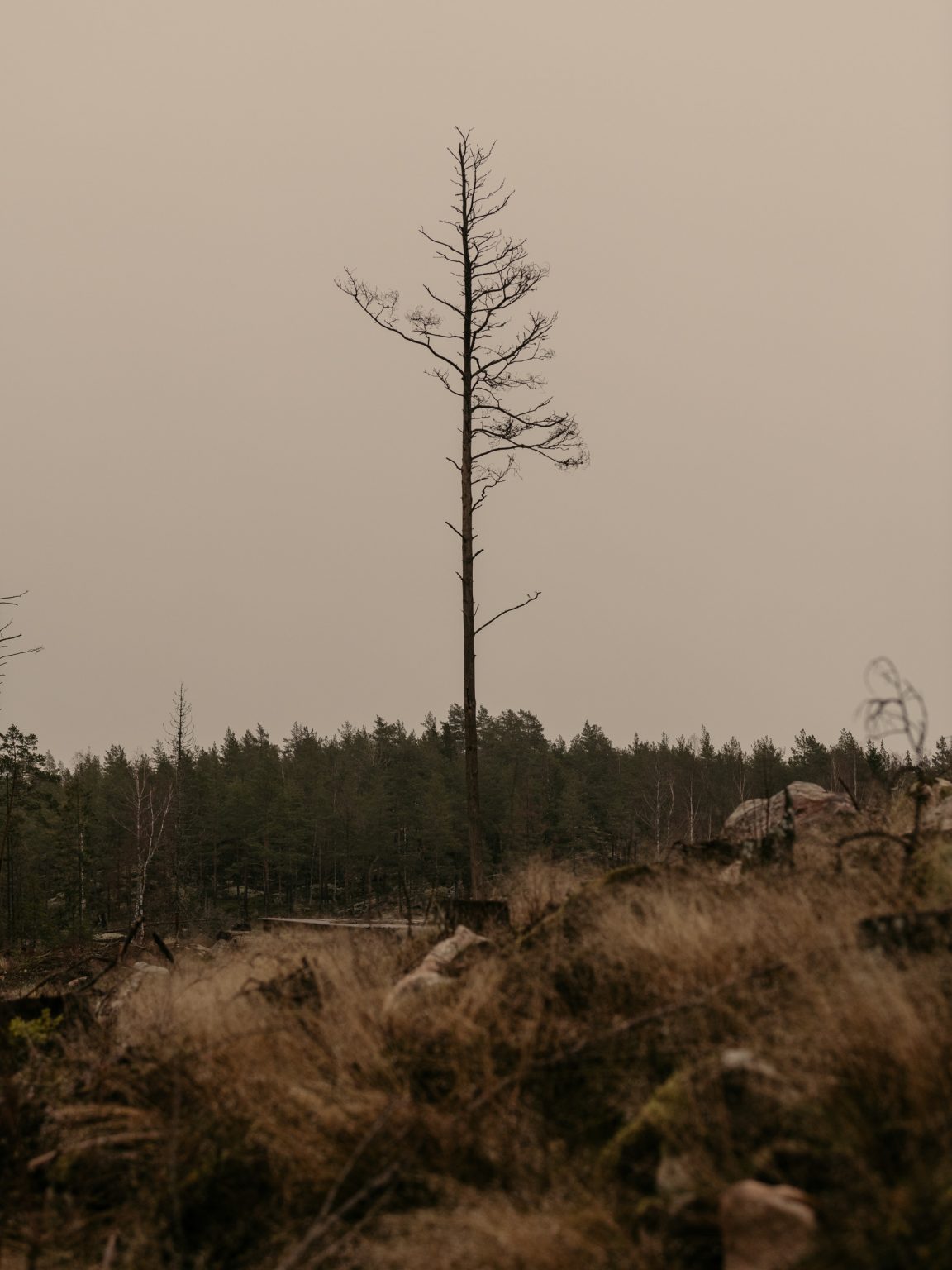 Robert Rieger's Photo Essay Of Sweden In Winter, A Pensive Place Where ...