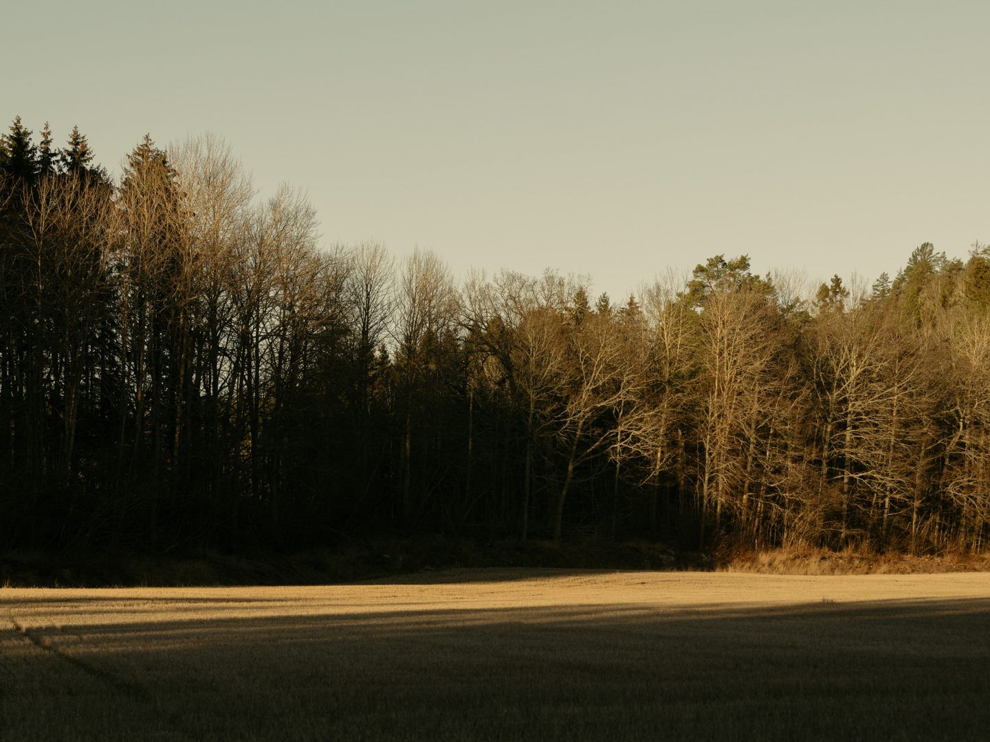 Robert Rieger's Photo Essay Of Sweden In Winter, A Pensive Place Where ...