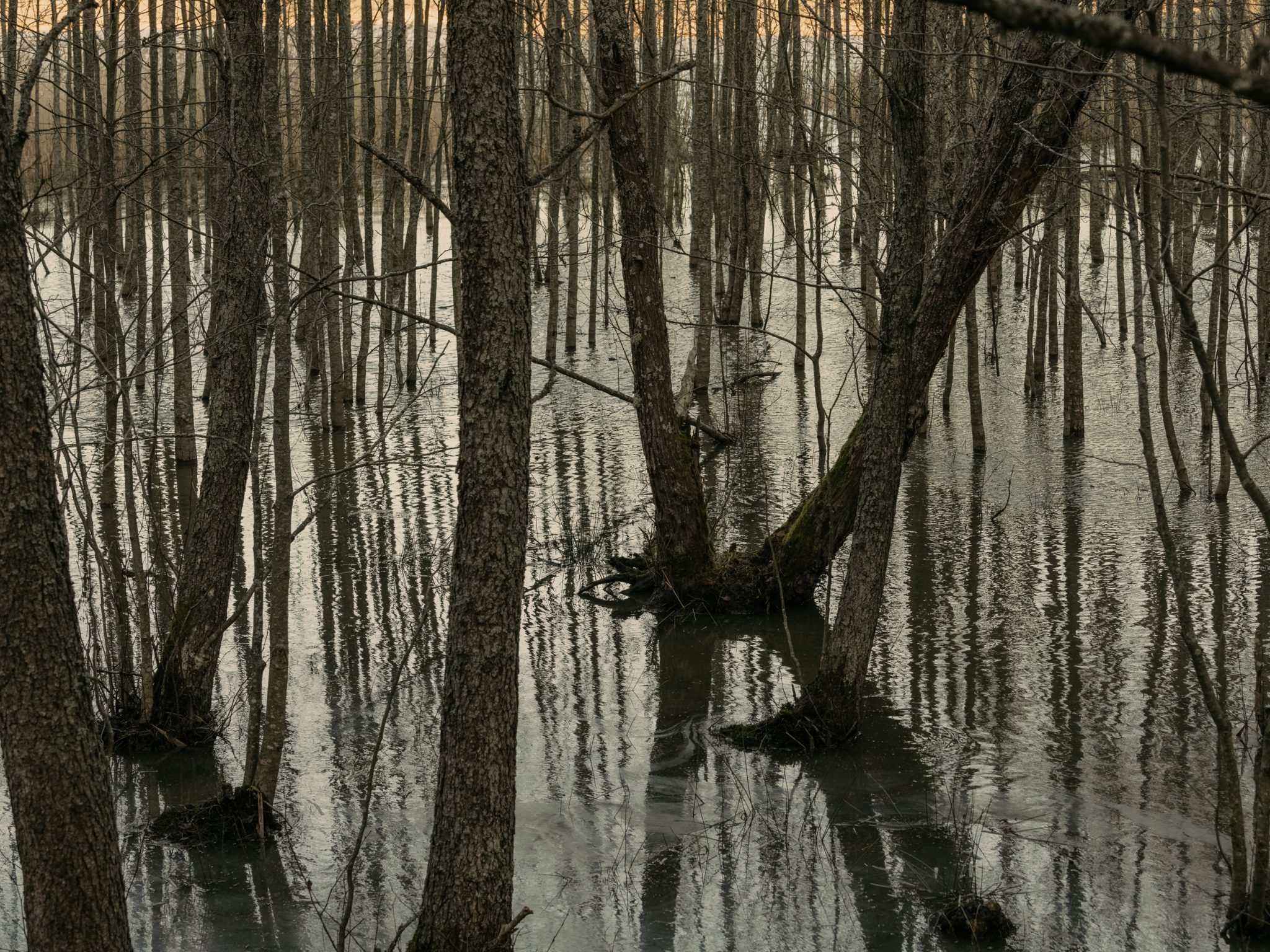 Robert Rieger's Photo Essay Of Sweden In Winter, A Pensive Place Where ...