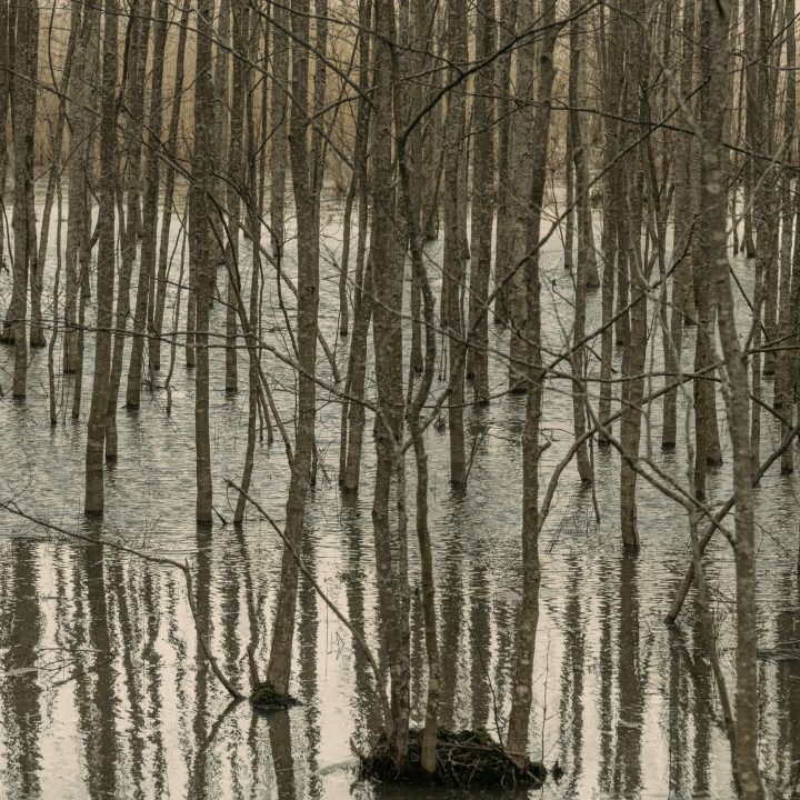 Robert Rieger's Photo Essay Of Sweden In Winter, A Pensive Place Where ...