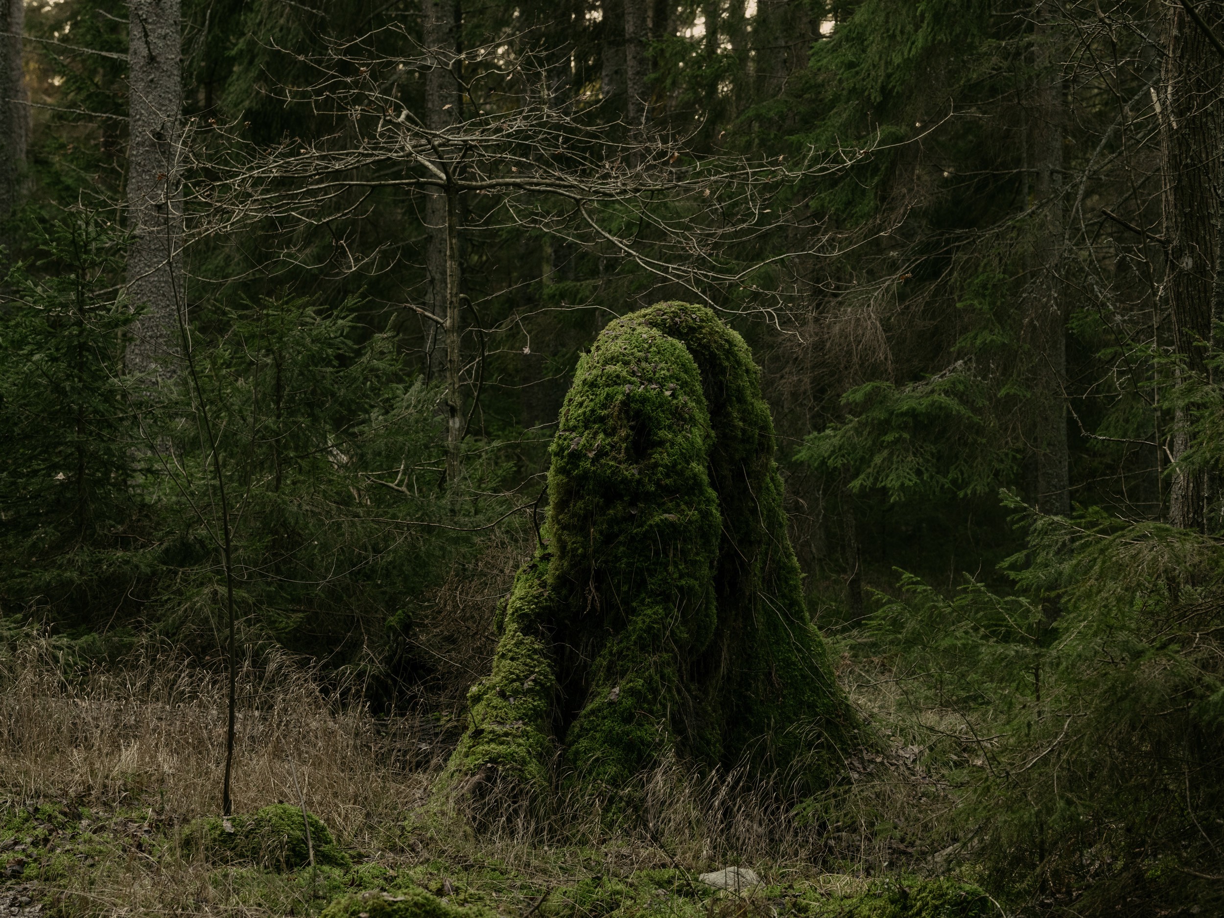 Robert Rieger's Photo Essay Of Sweden In Winter, A Pensive Place Where ...