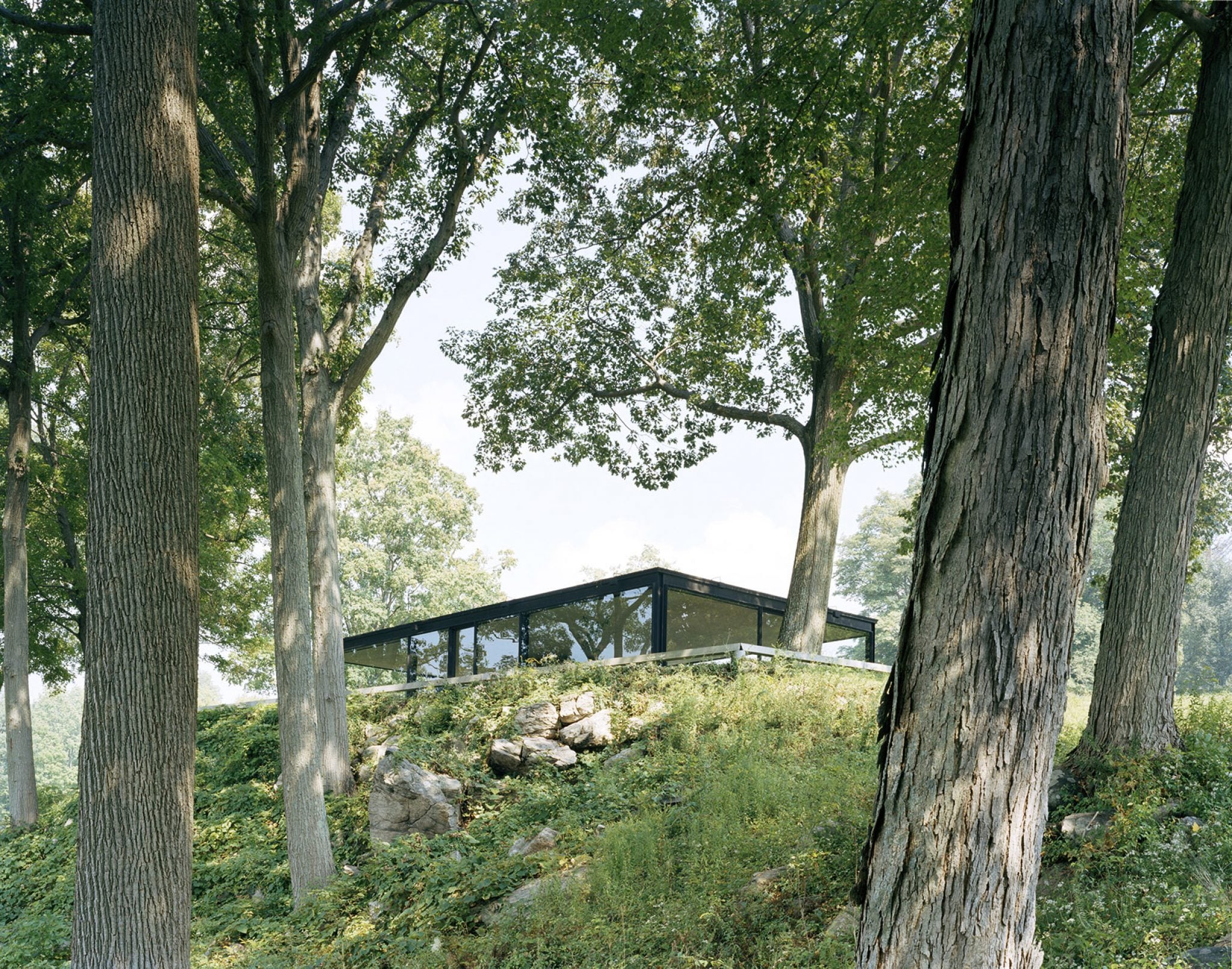 Life In Philip Johnson’s The Glass House, An Icon Of Modernist ...