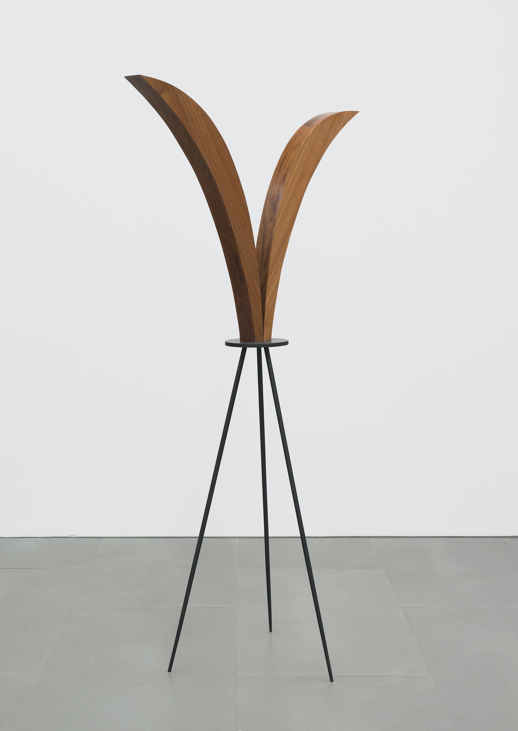 Communication, Memory, And Heritage Are Central To The Work Of Iman ...