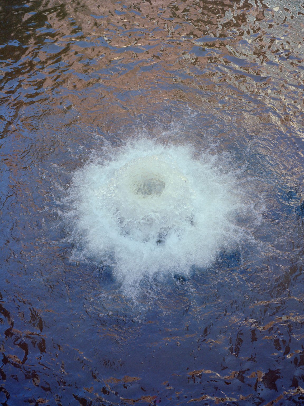 “Between Ourselves, Our Screens, And The Sky”: The Photographic Work Of ...