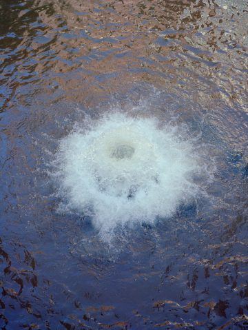 “Between Ourselves, Our Screens, And The Sky”: The Photographic Work Of ...