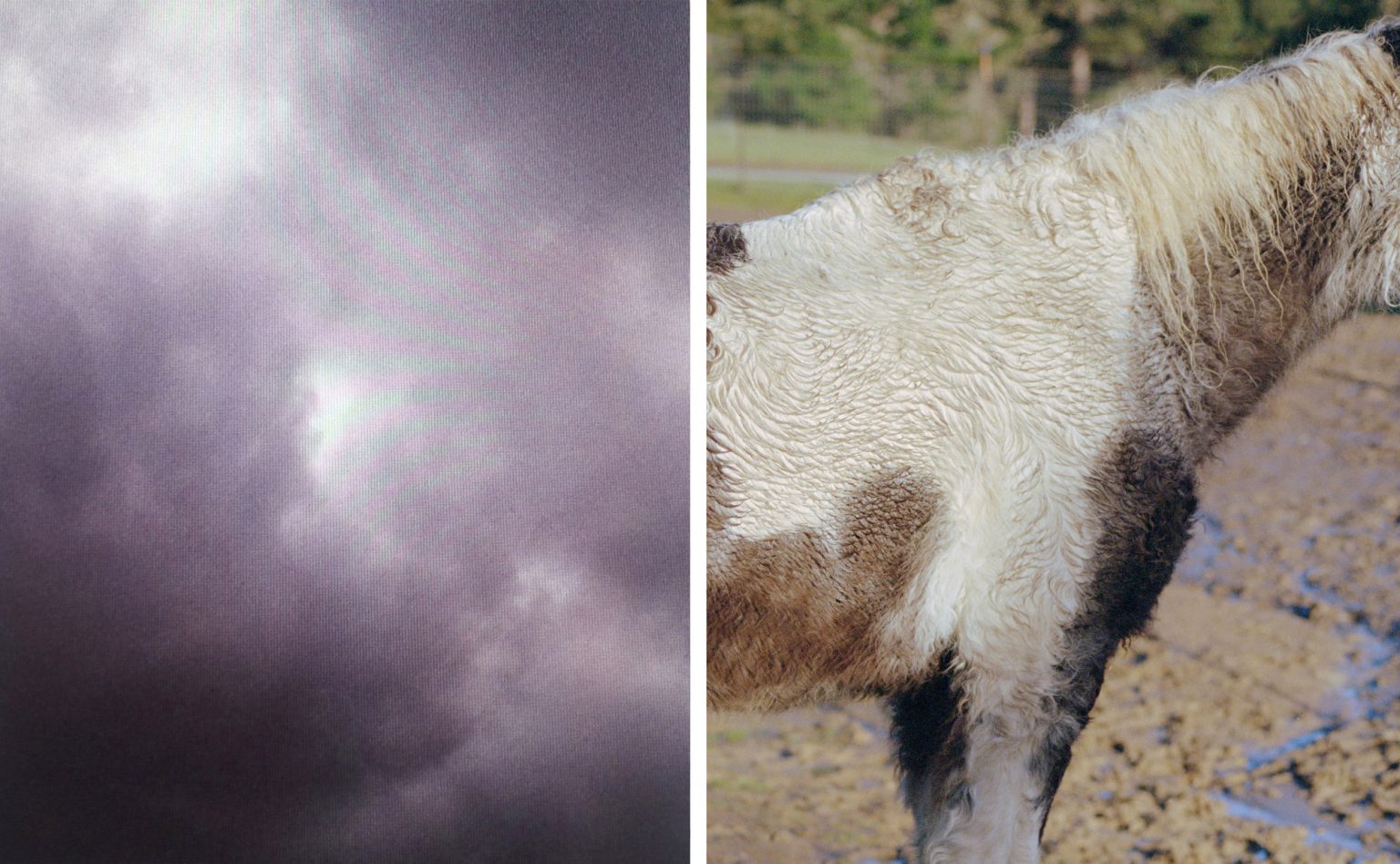 “Between Ourselves, Our Screens, And The Sky”: The Photographic Work Of ...