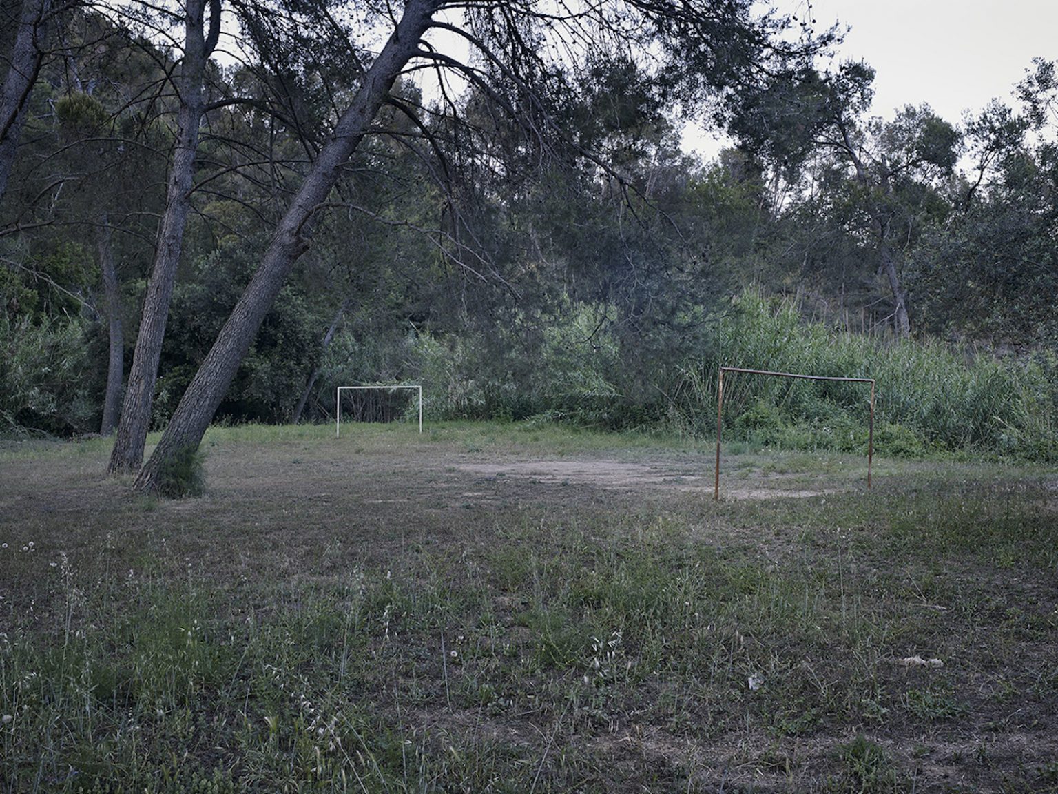 Guillem Vidal Photographs The Forgotten Playgrounds Invaded By Nature ...