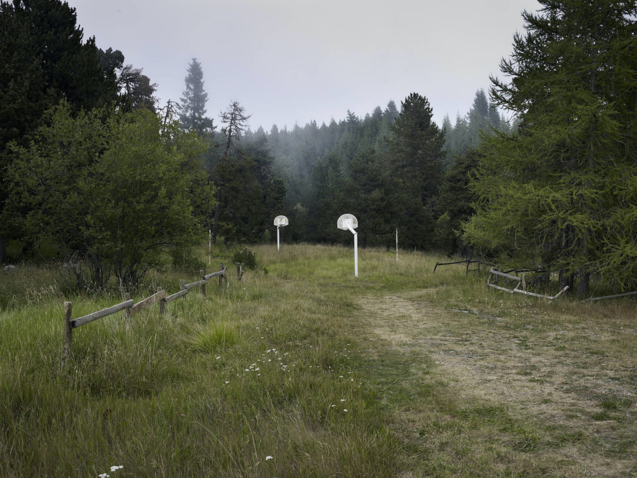 Guillem Vidal Photographs The Forgotten Playgrounds Invaded By Nature ...