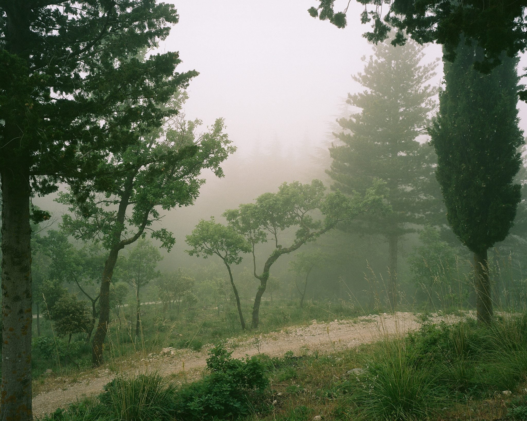 Pietro Motisi’s Poignant Photo Essay Of Sicily And Its Landscapes - IGNANT