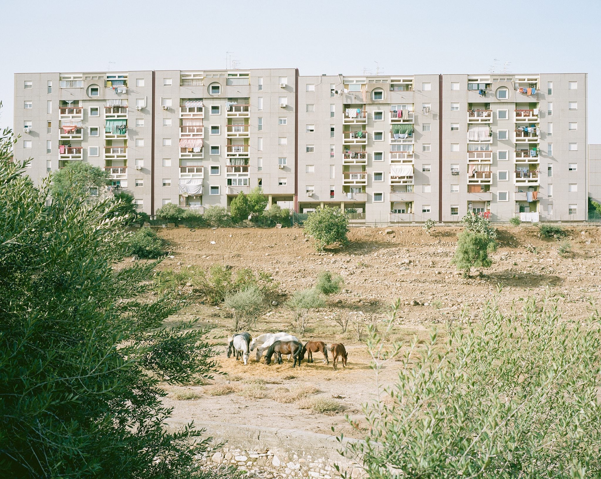 Pietro Motisi’s Poignant Photo Essay Of Sicily And Its Landscapes - IGNANT