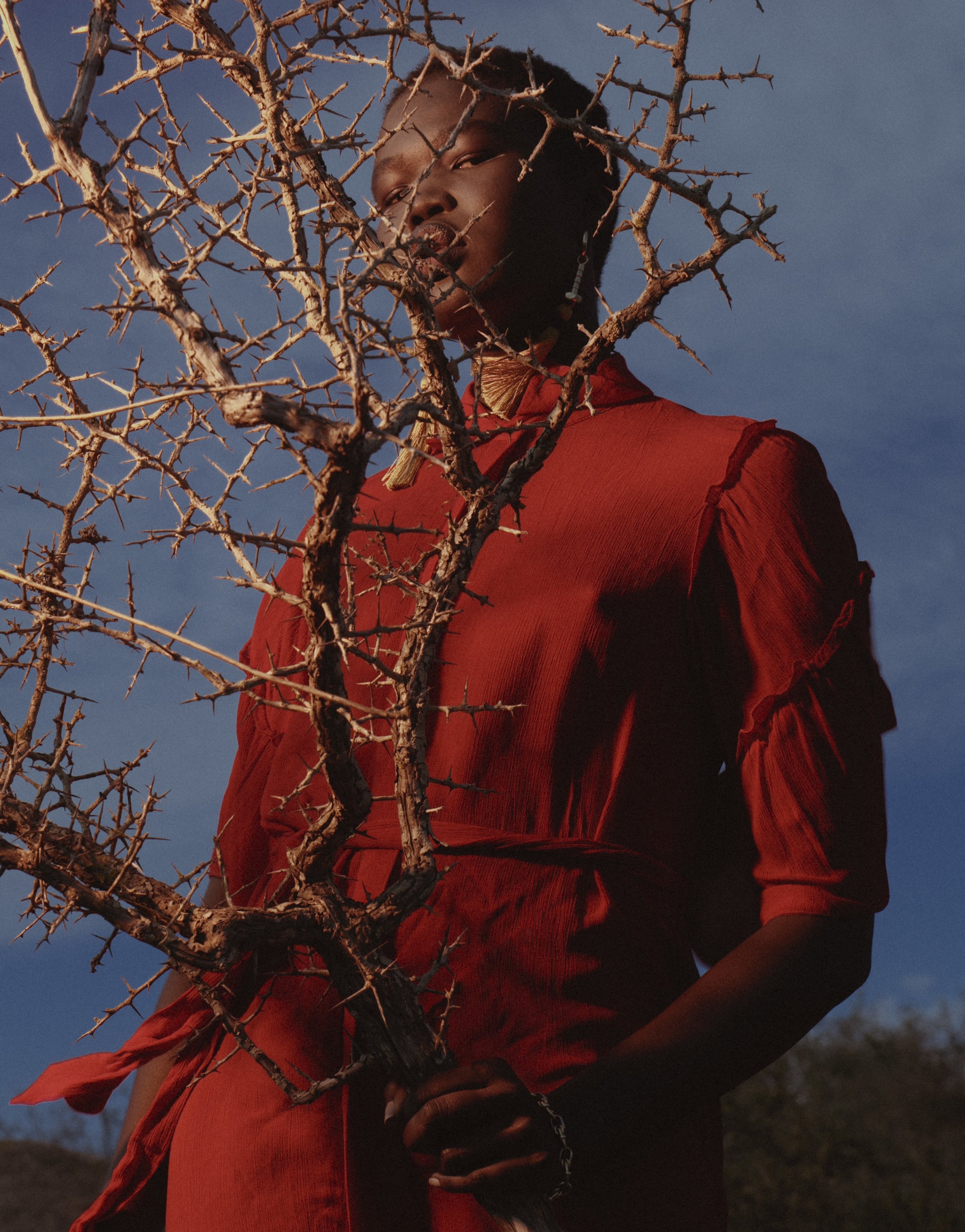 Subtlety And Sophistication In The Work Of Photographer Sven Kristian ...