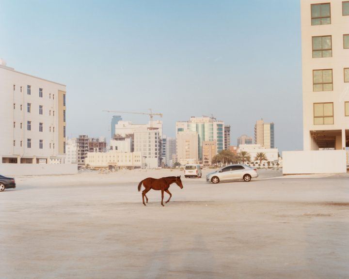 The Peculiar And Beautiful Photography Of Toby Coulson - IGNANT