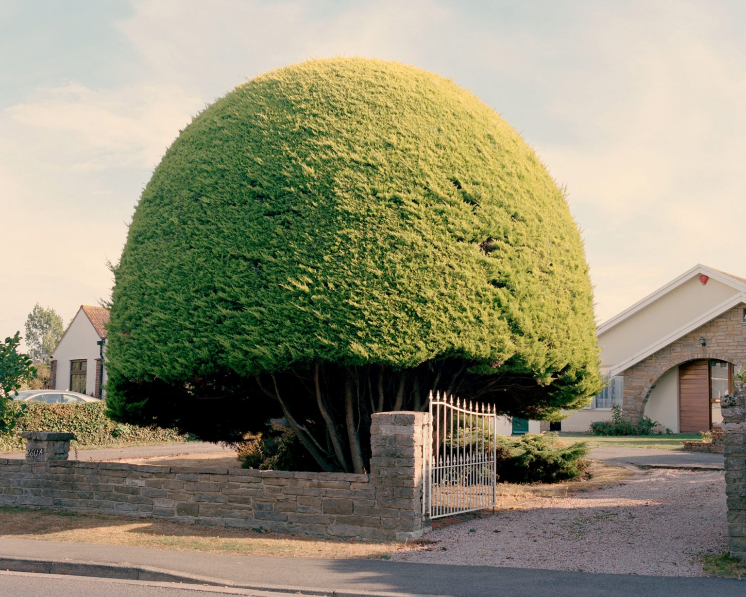 The Peculiar And Beautiful Photography Of Toby Coulson - IGNANT