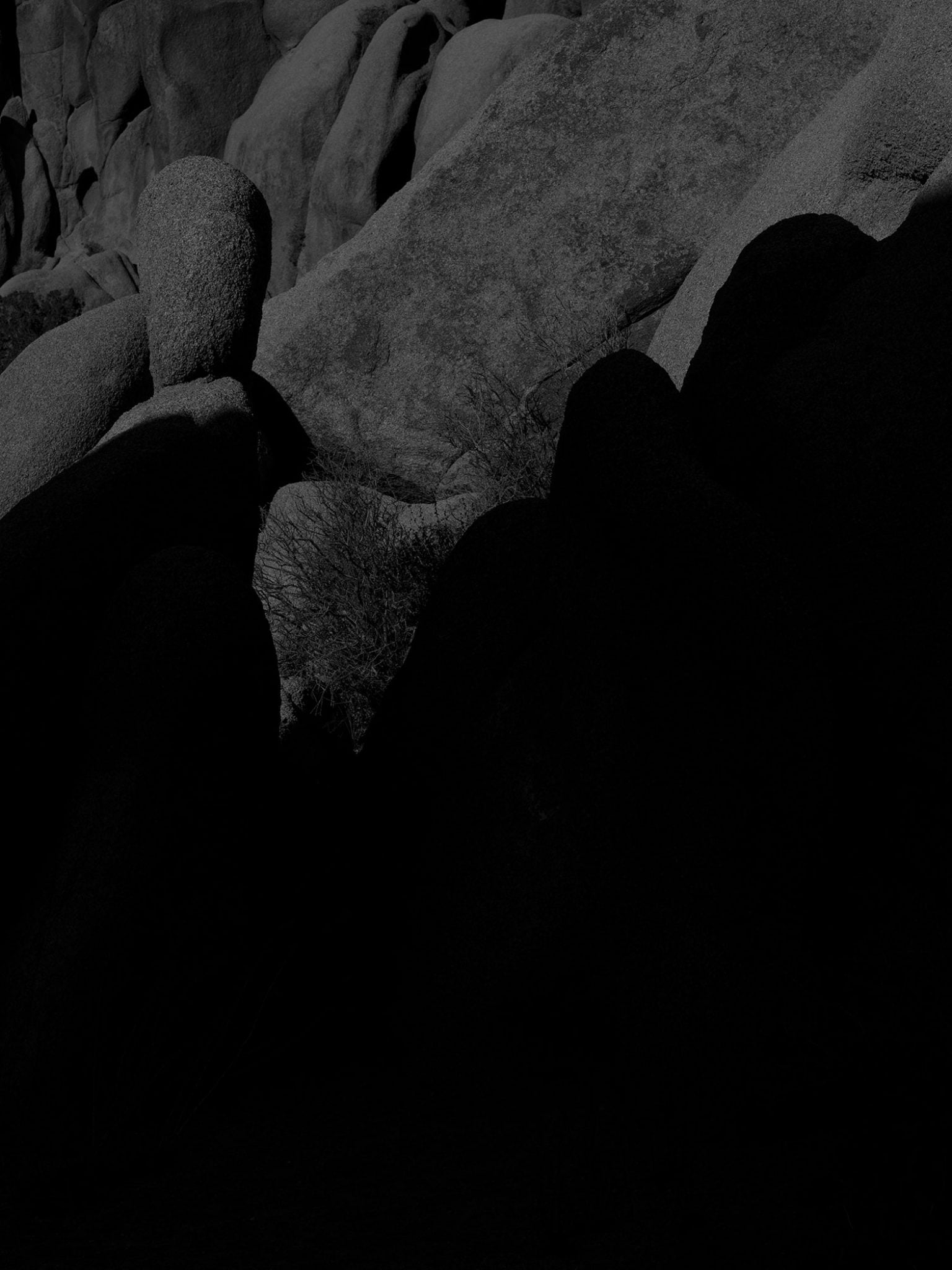 Embodying Emotions Through Photography: In Conversation with Marcus ...