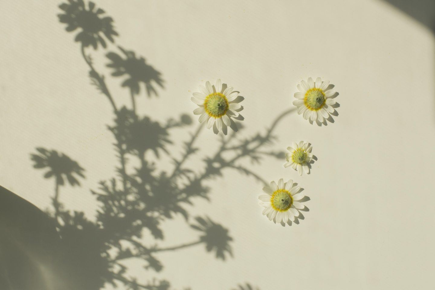 Conceptual Photography by May Xiong - IGNANT