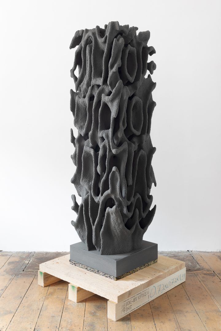 Daniel Widrig’s Practice Blurs The Line Between Technology And Art - IGNANT