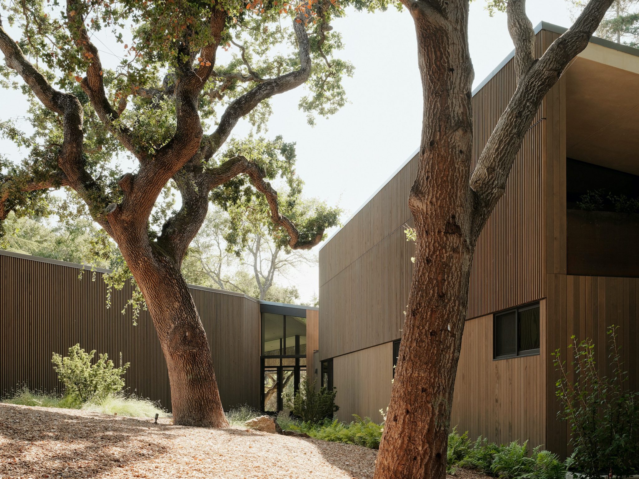 Field Architecture’s Dawnridge Property Is A Study In Native ...