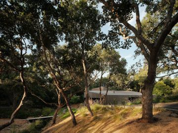 Field Architecture’s Dawnridge Property Is A Study In Native ...