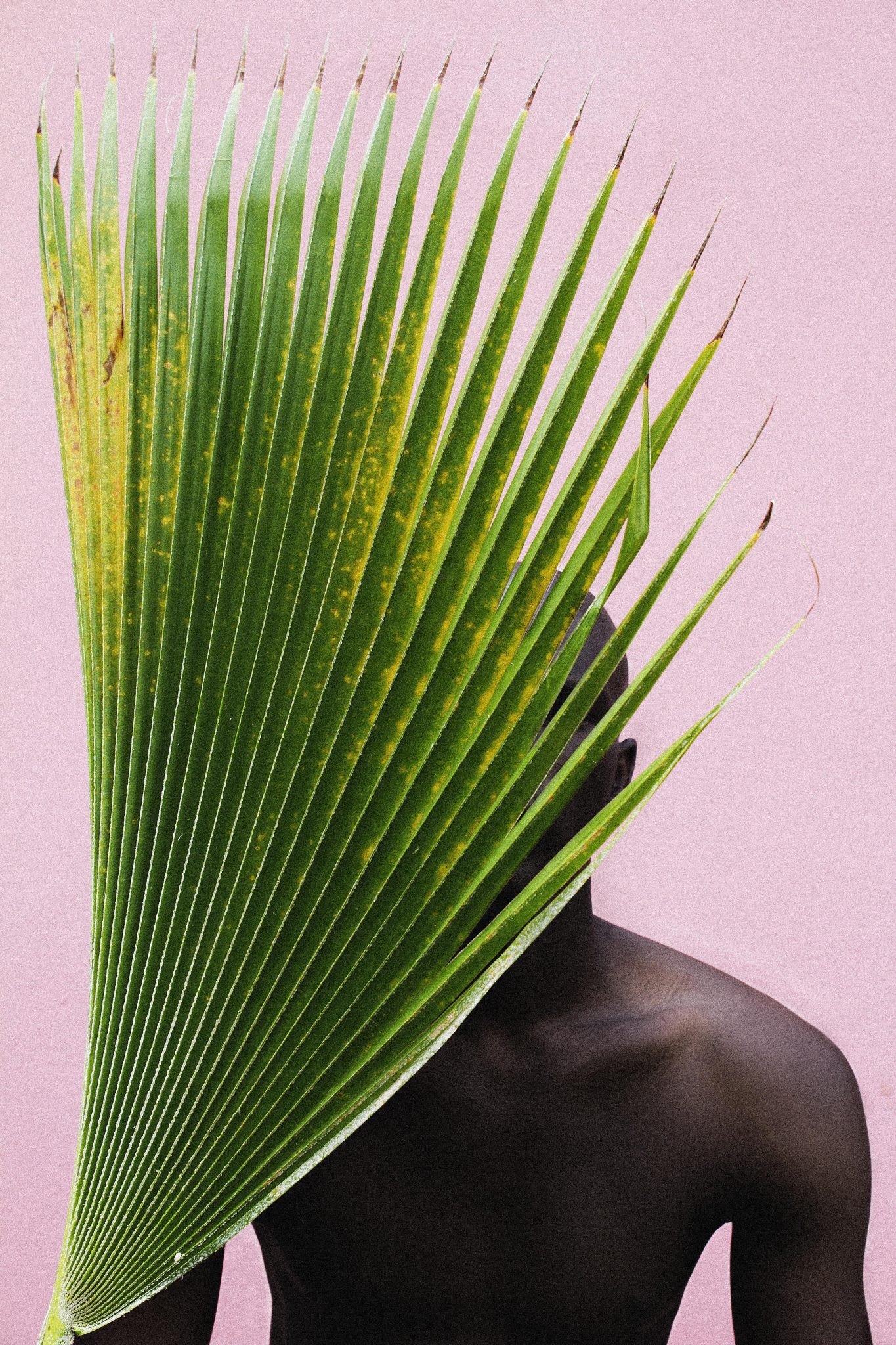 Lakin Ogunbanwo Shares His Soulful Interpretation Of The World Through ...