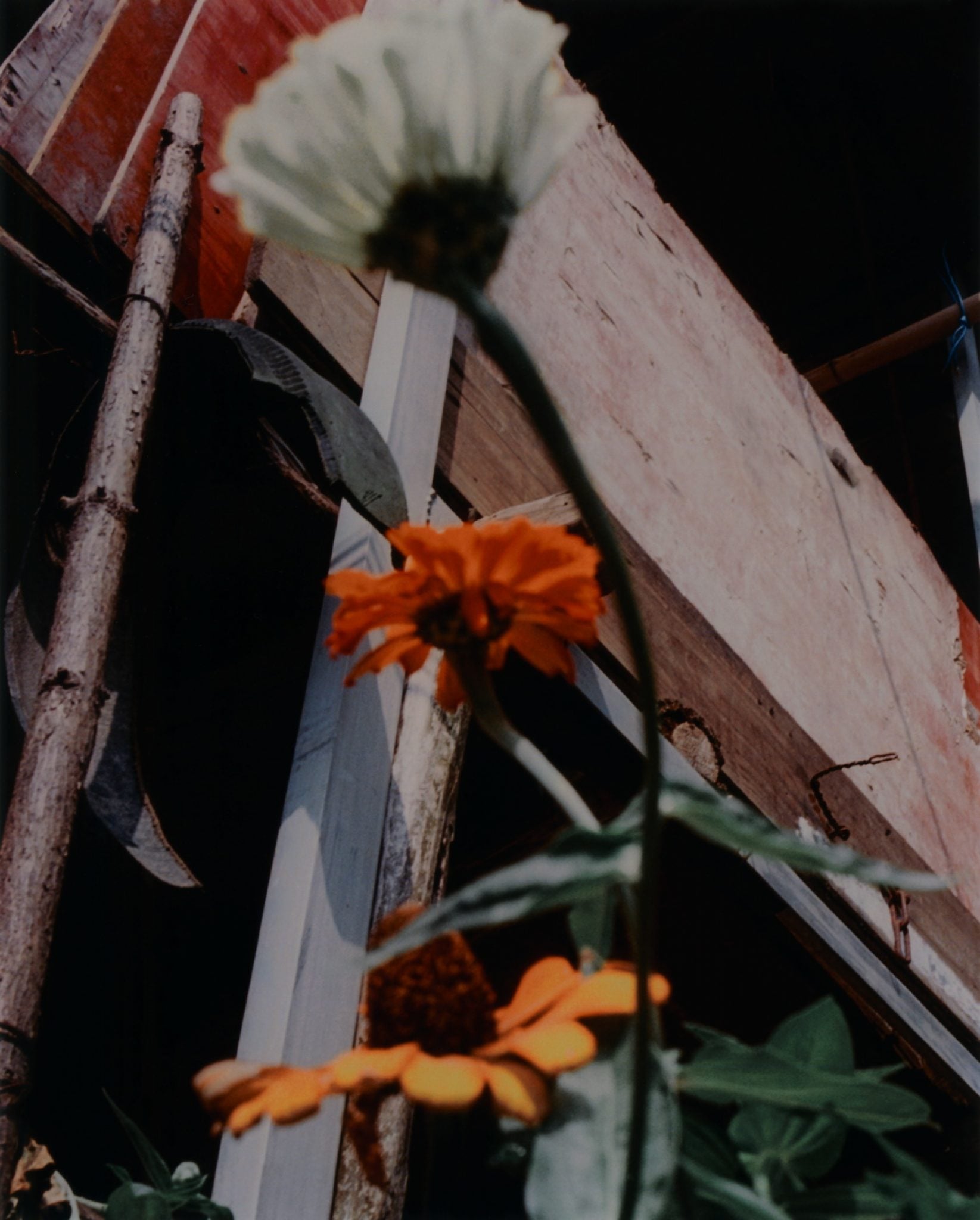 Steeped In Mystery, Jack Davison’s Latest Photographic Works Epitomize ...