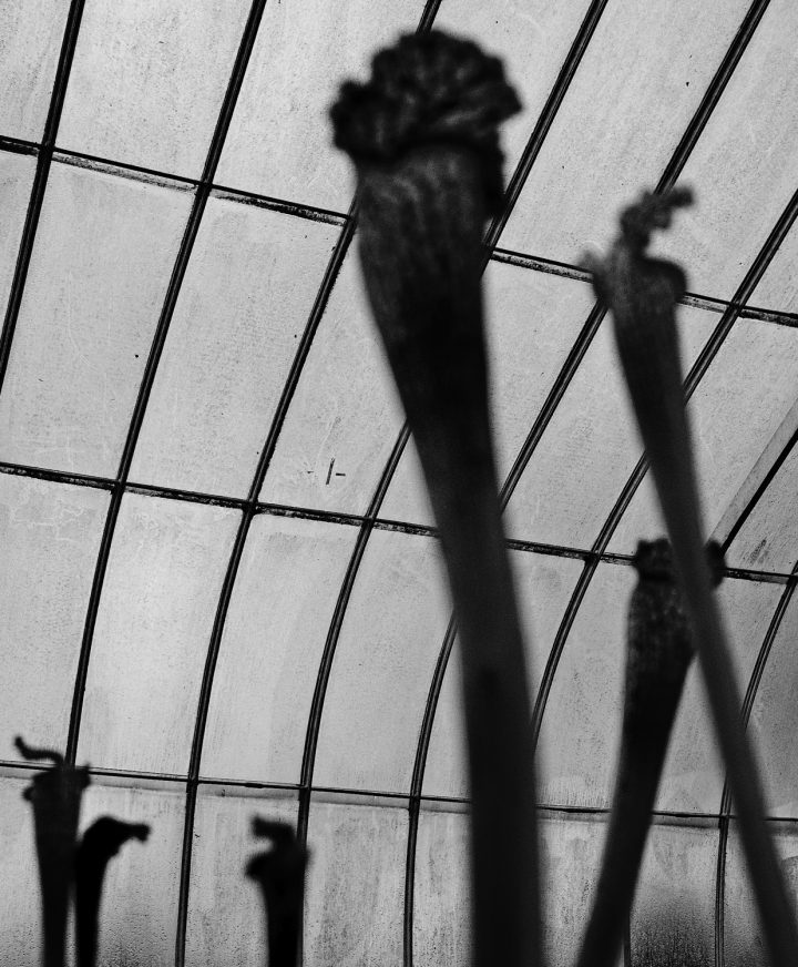 Steeped In Mystery, Jack Davison’s Latest Photographic Works Epitomize ...