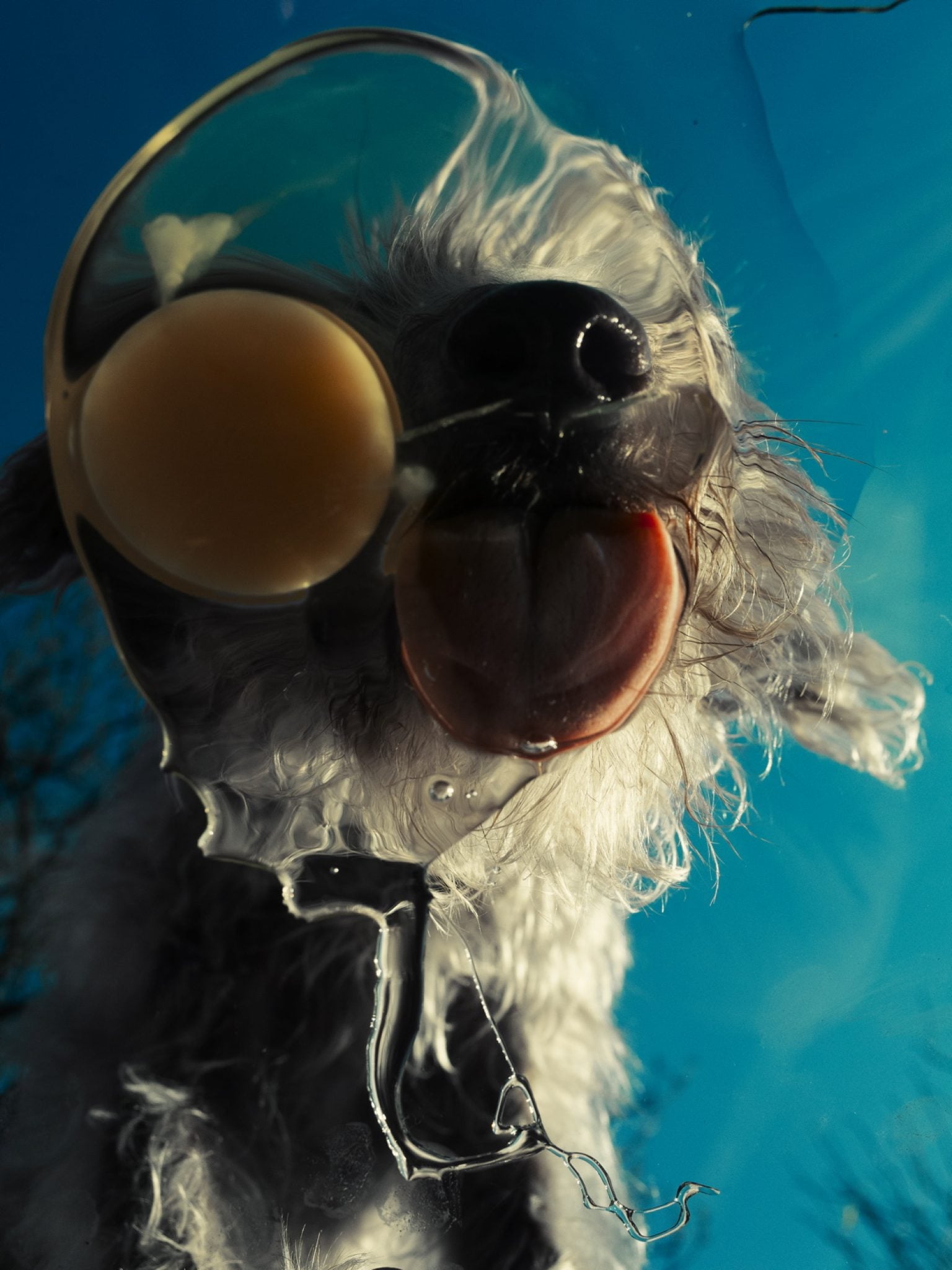 Steeped In Mystery, Jack Davison’s Latest Photographic Works Epitomize ...