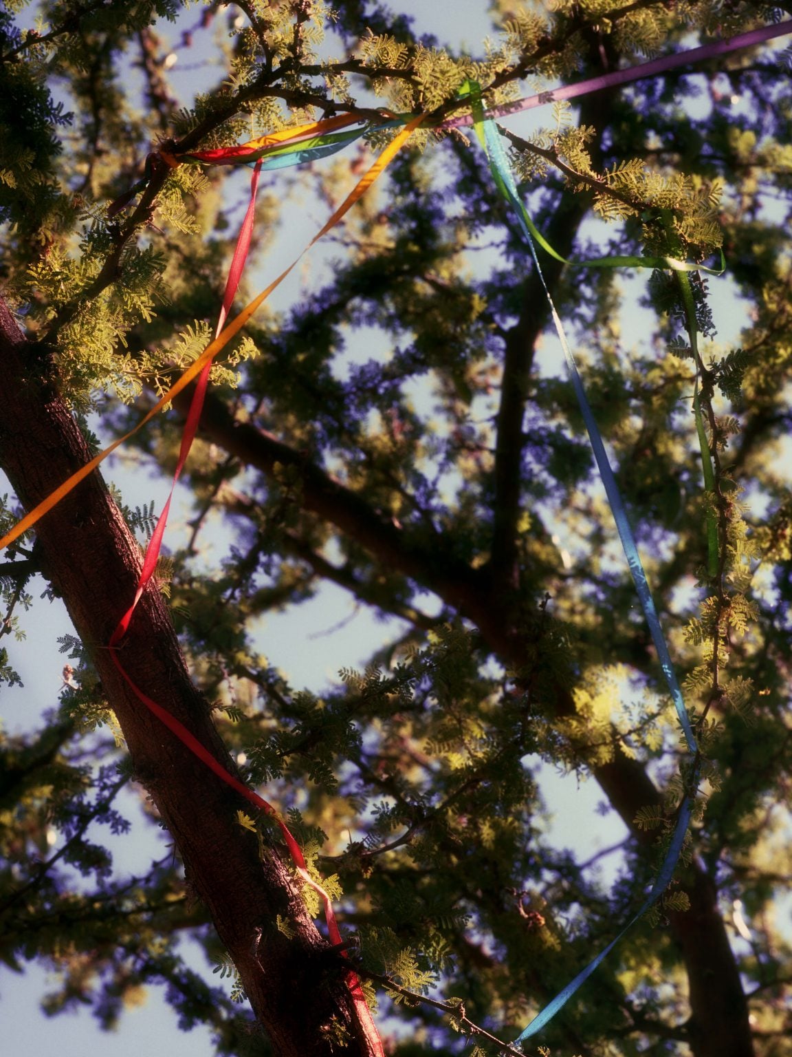 Jacques Brun’s Mystical Series Sunset Garden Explores Narratives Of ...