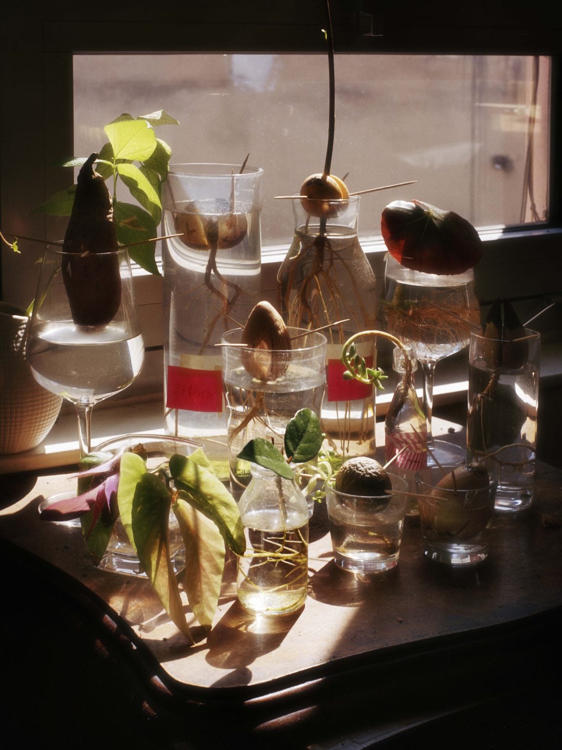 Jacques Brun’s Mystical Series Sunset Garden Explores Narratives Of ...