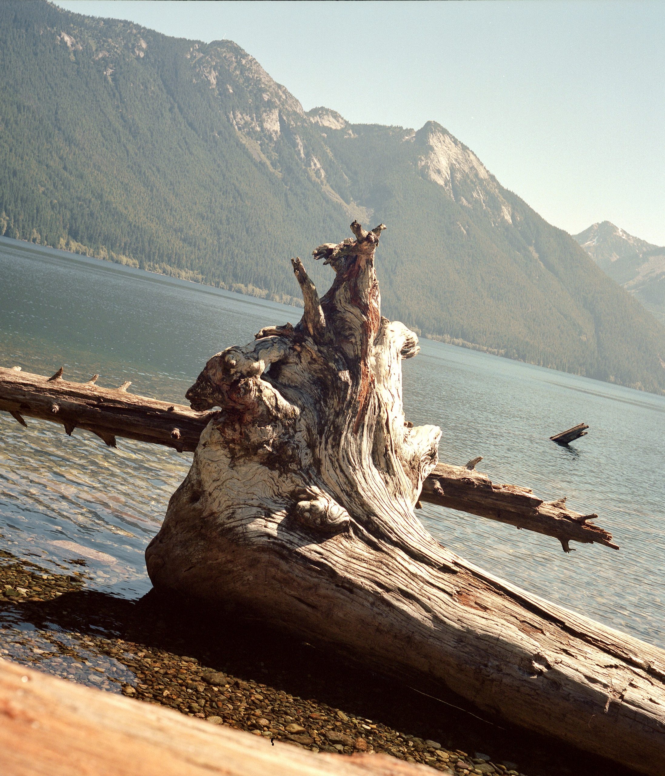 Alex Fleming’s Photo Essay Captures The Simple Freedom Of Camping In ...