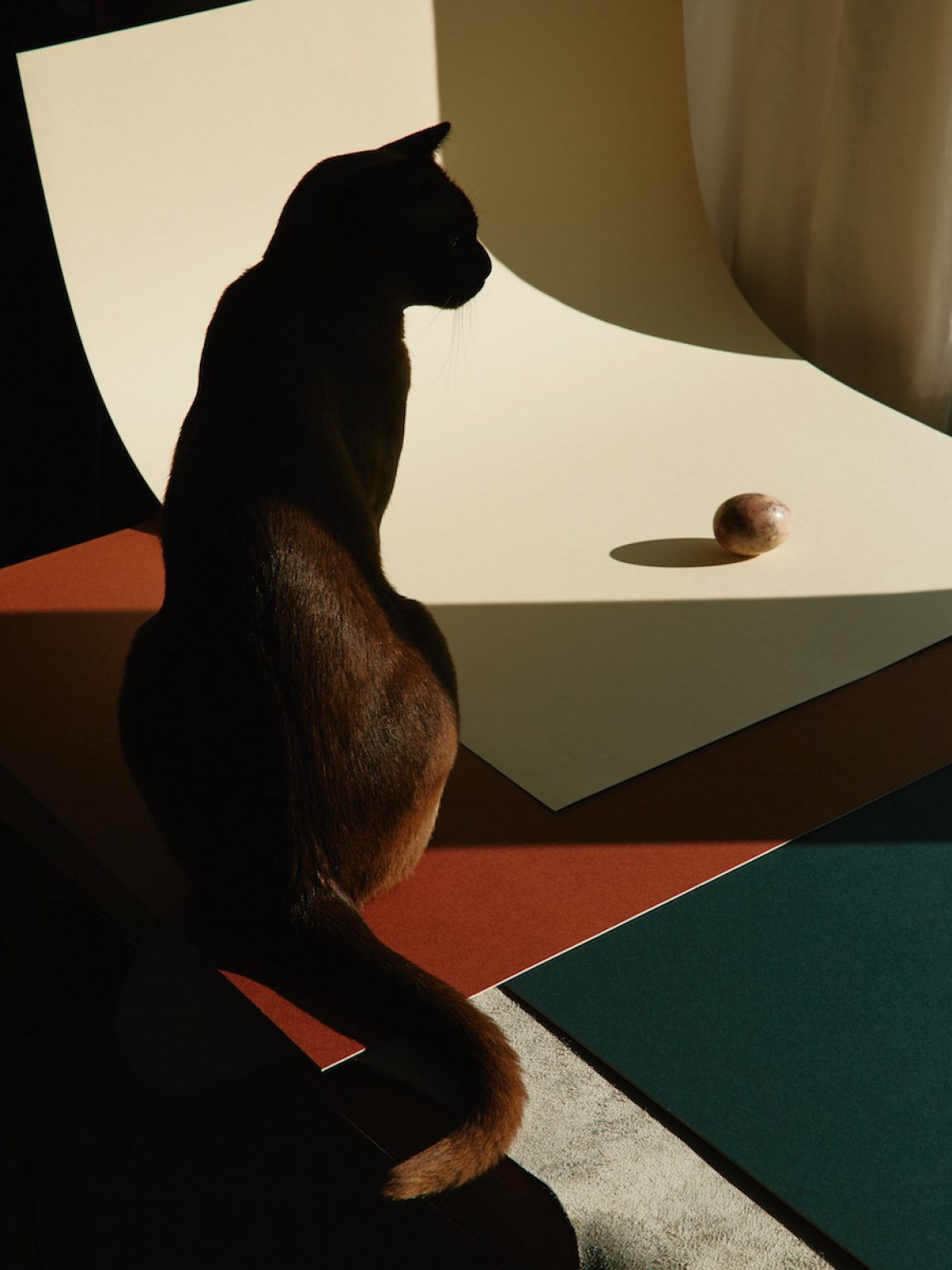Mystical Landscapes And Stylized Fashion Shots Combine In Photographer ...