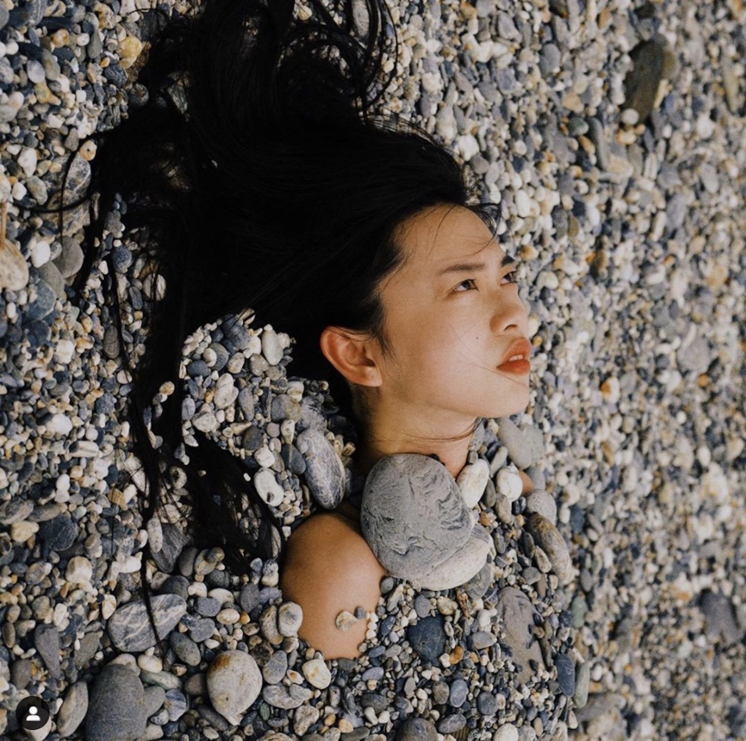 In Project 365, Zhong Lin’s Vibrant Photography Captures The Subtleties ...