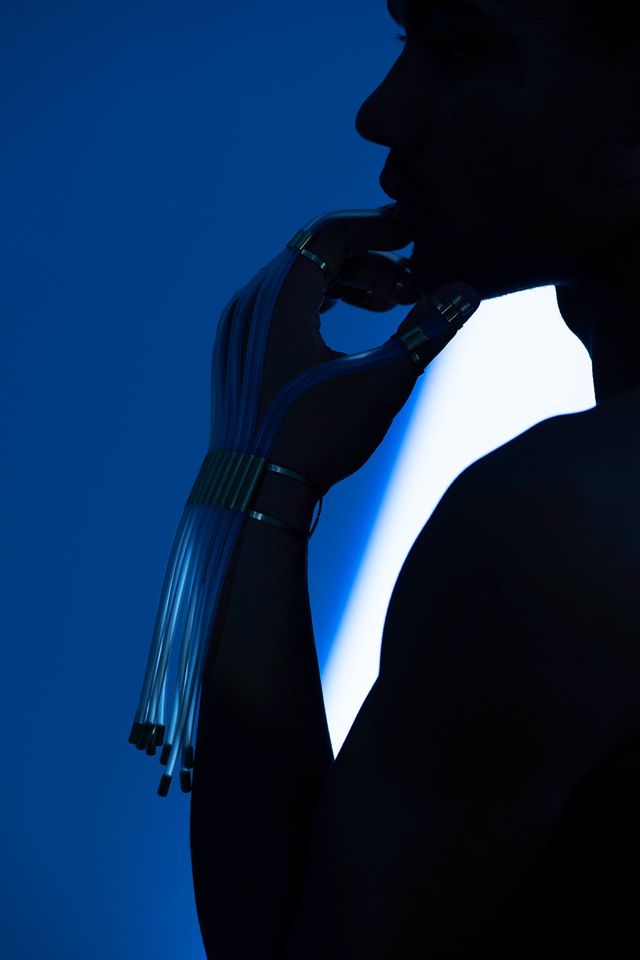 NEW DAWN Imagines A Speculative Future Of Nature, Art And Technology In ...