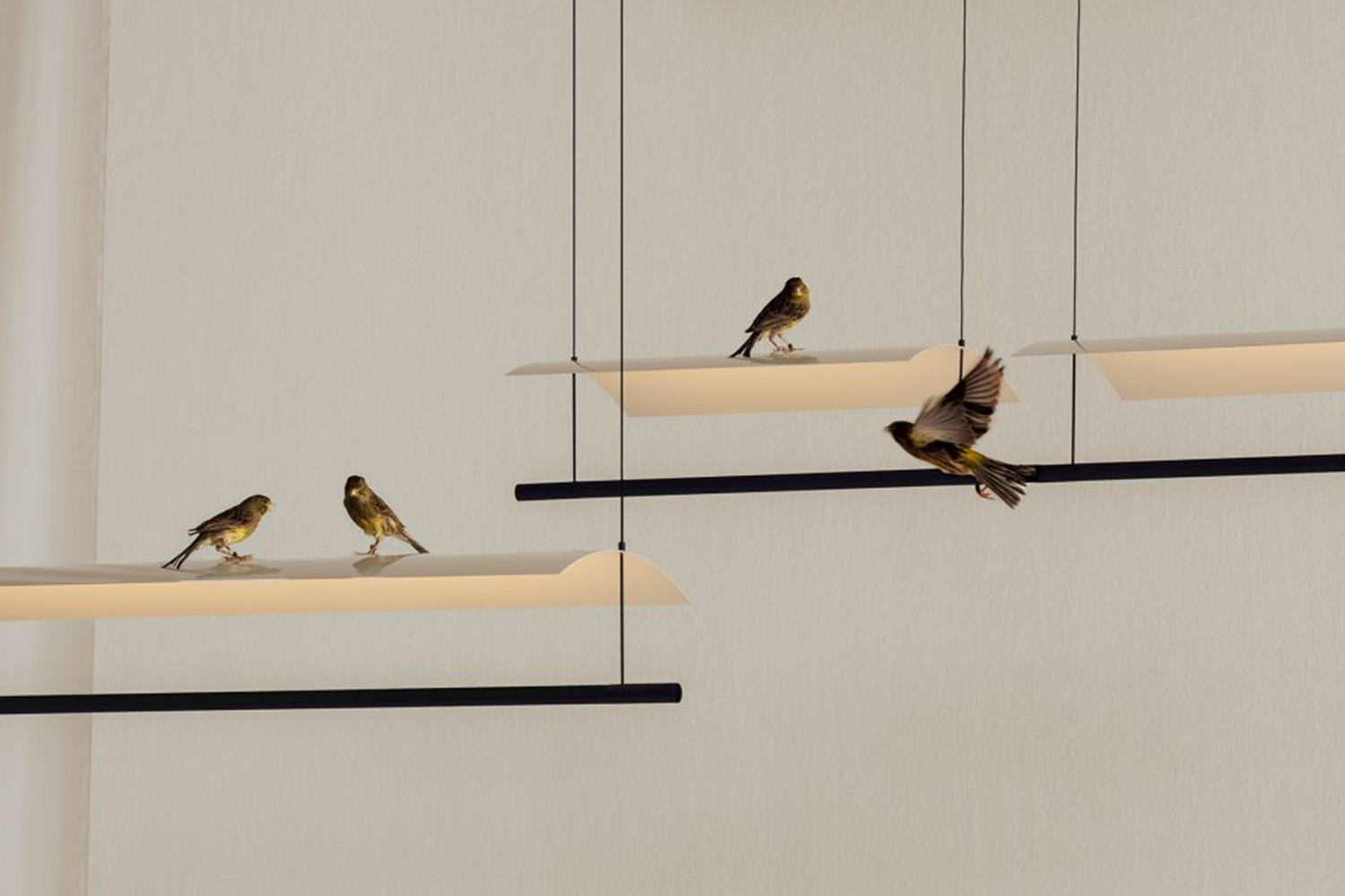 Simplicity And Optimal Light Diffusion Define Antoni Arola’s Lámina ...