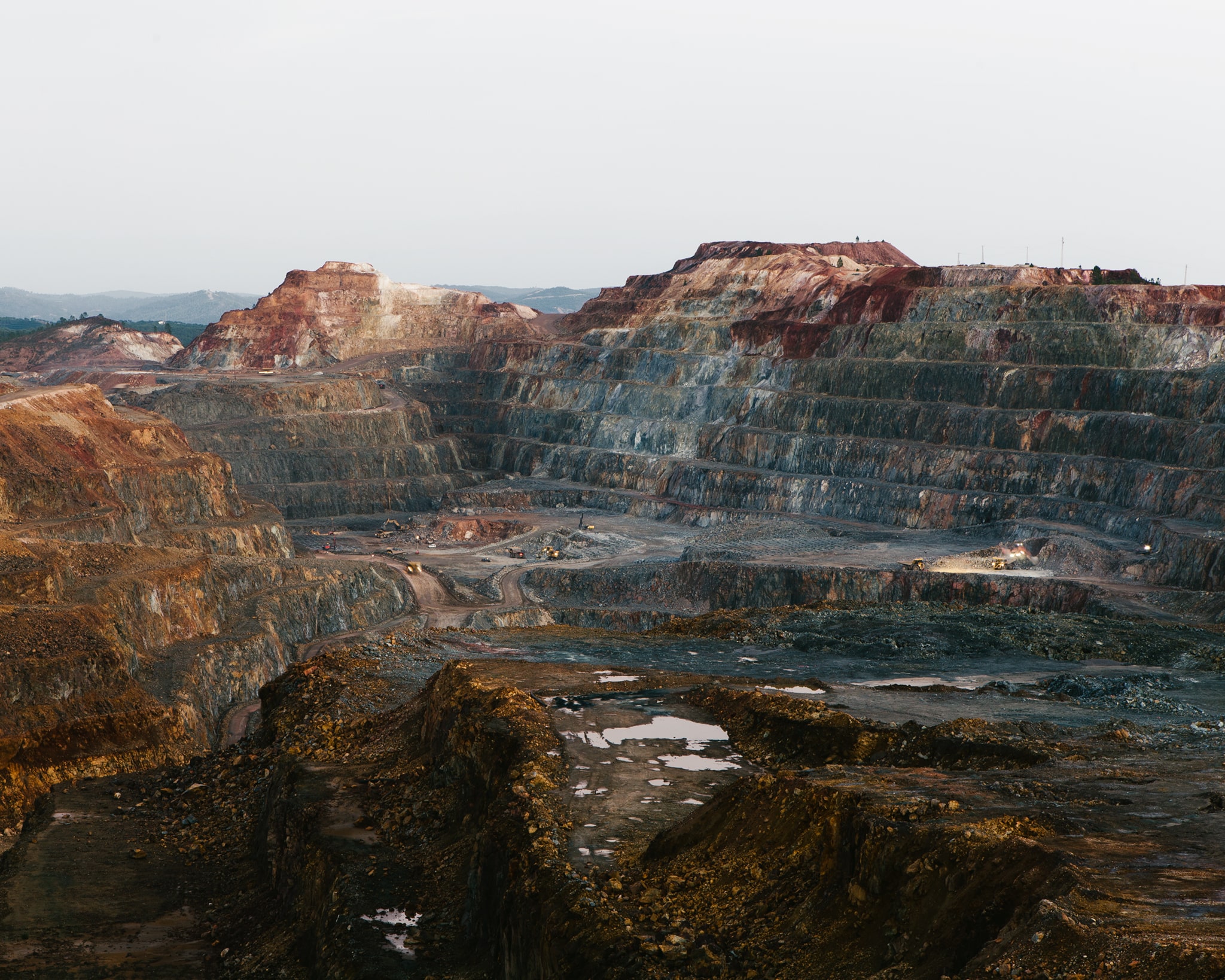 IGNANT’s Most Inspiring Stories Of 2020 - IGNANT