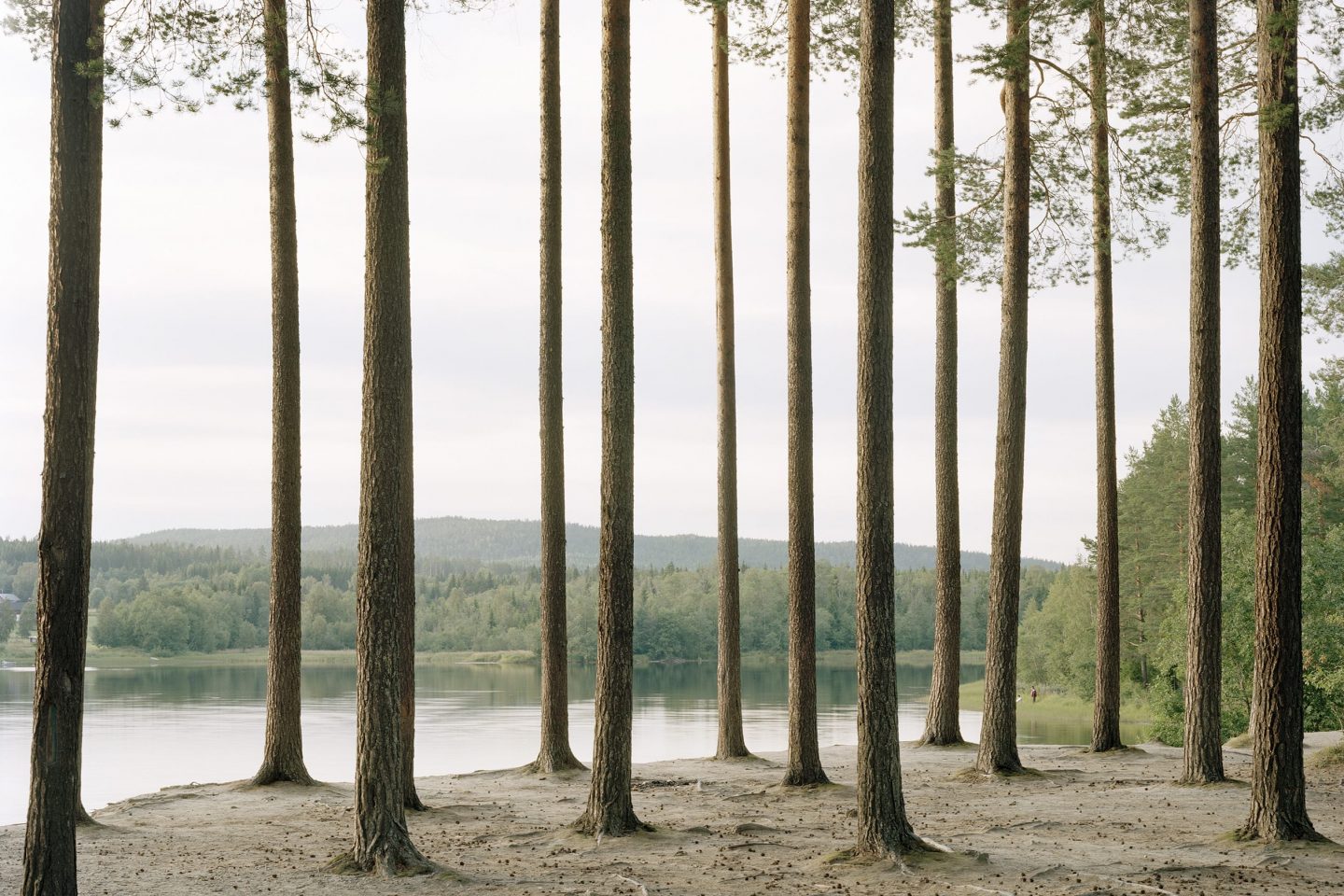 Landscape Archives - IGNANT