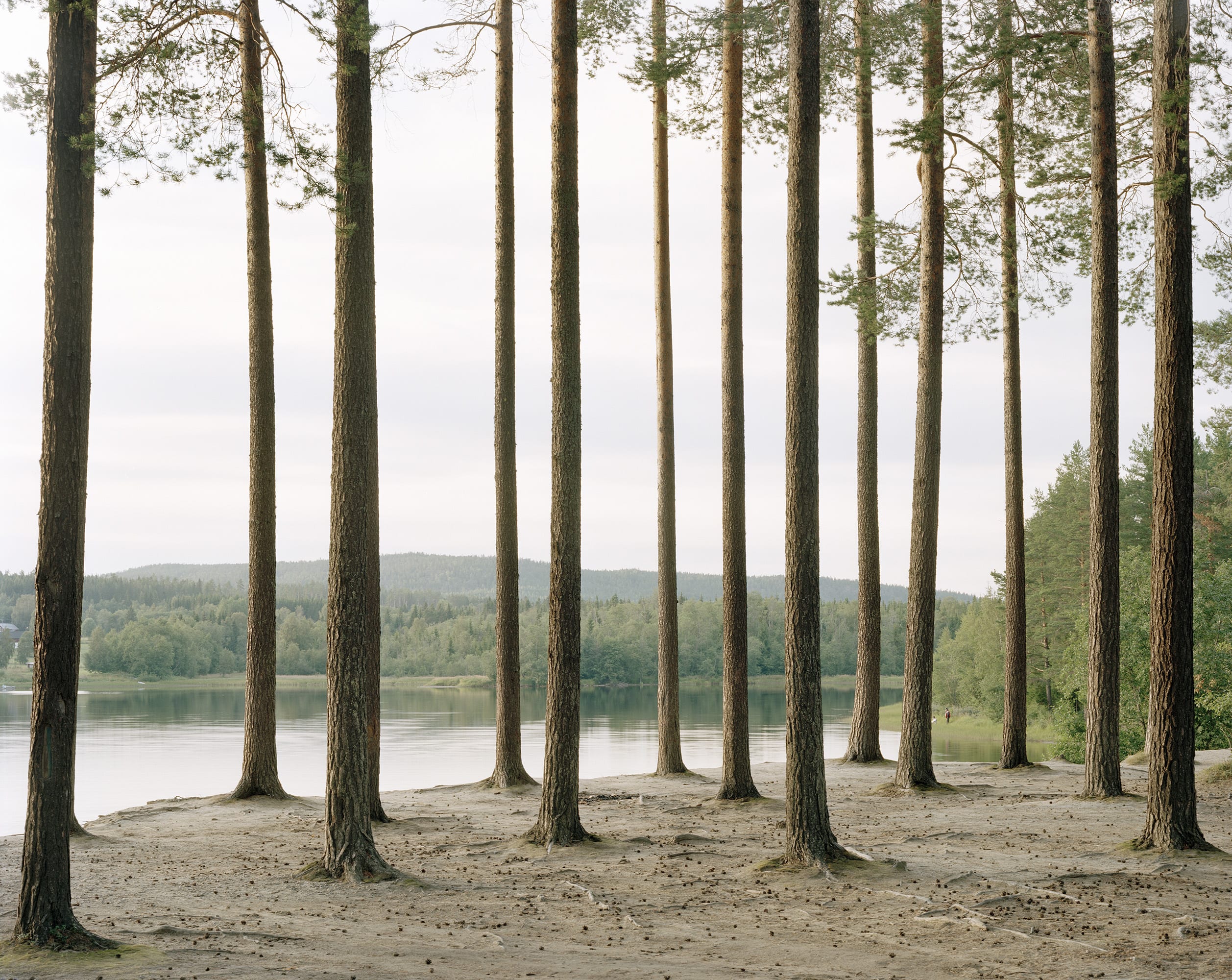 Landscape Archives - IGNANT