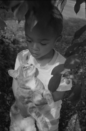 The Locusts Is Jesse Lenz’s Captivating Portrayal Of The Untamed And ...