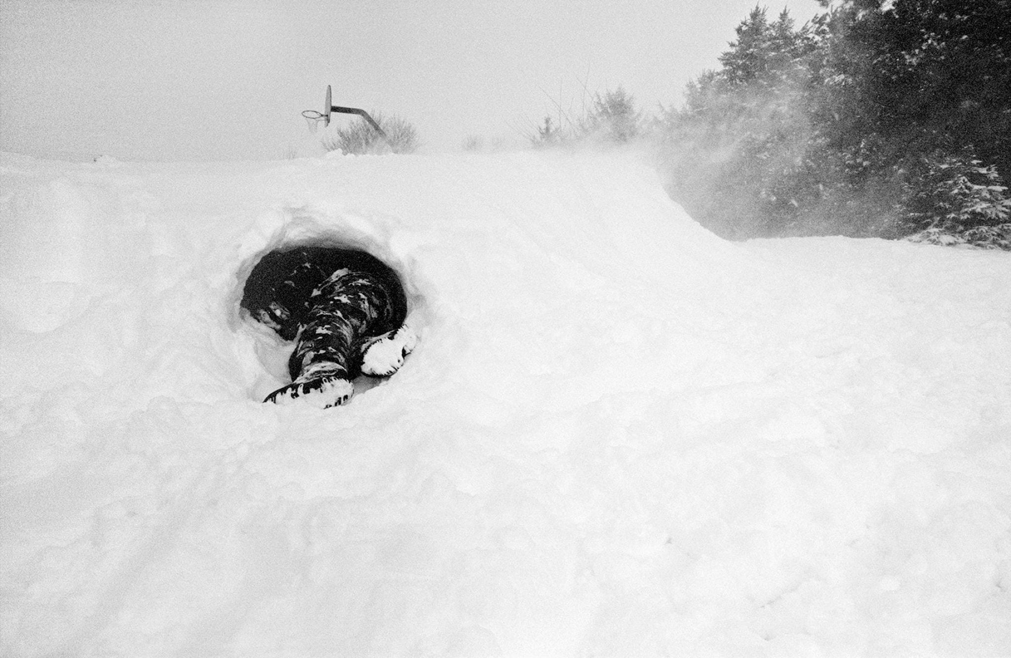 The Locusts Is Jesse Lenz’s Captivating Portrayal Of The Untamed And ...