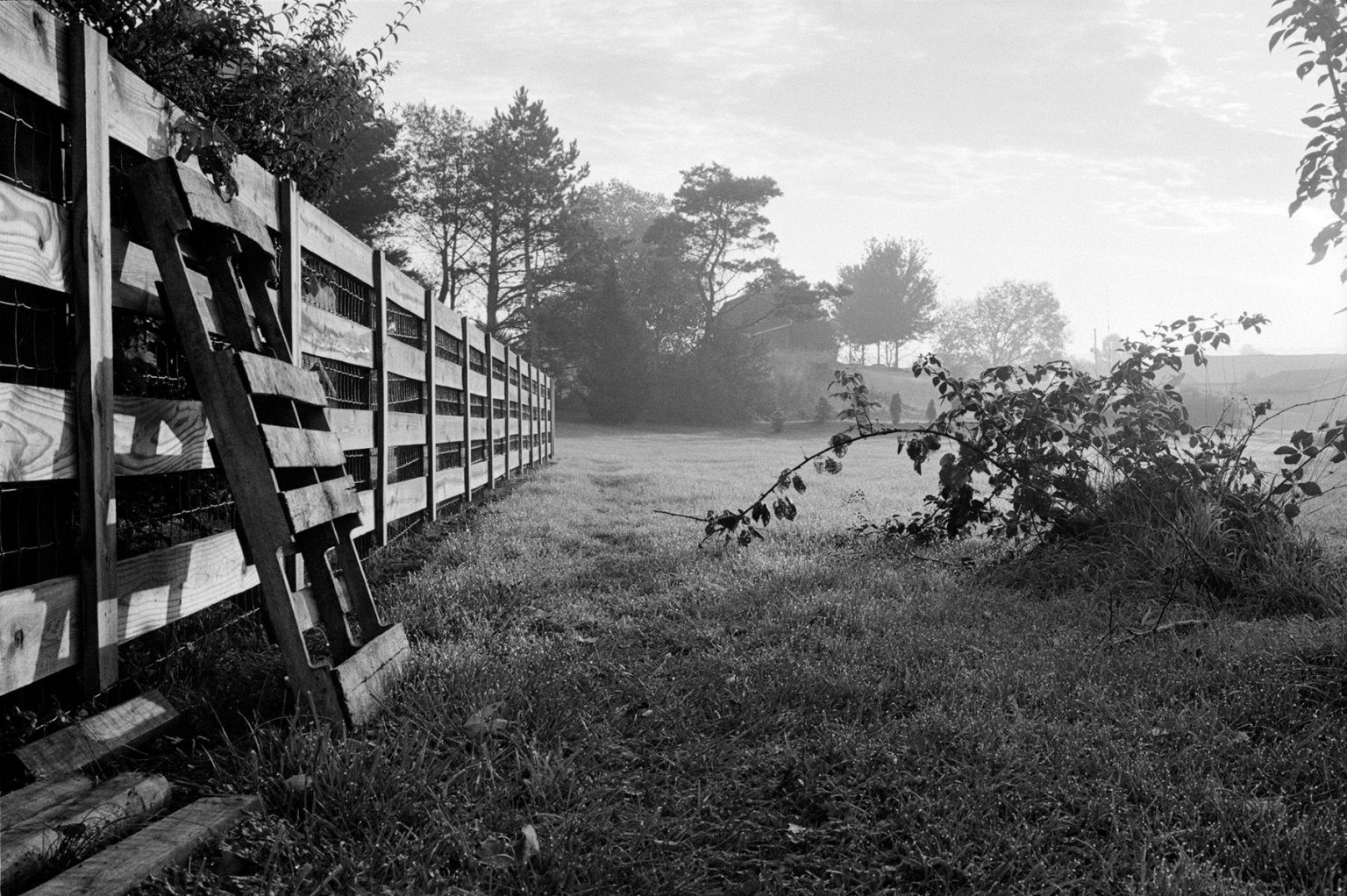 The Locusts Is Jesse Lenz’s Captivating Portrayal Of The Untamed And ...
