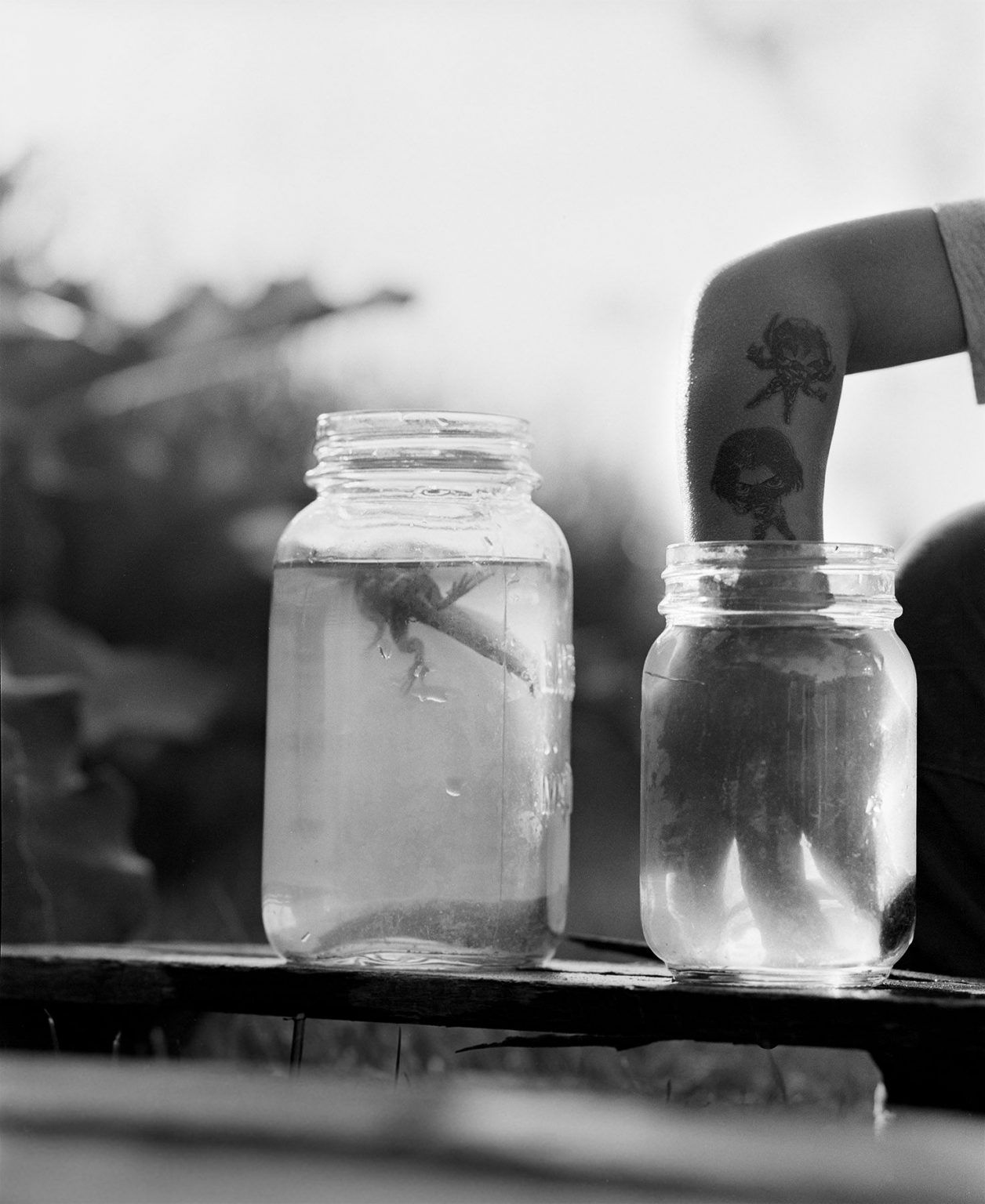 The Locusts Is Jesse Lenz’s Captivating Portrayal Of The Untamed And ...