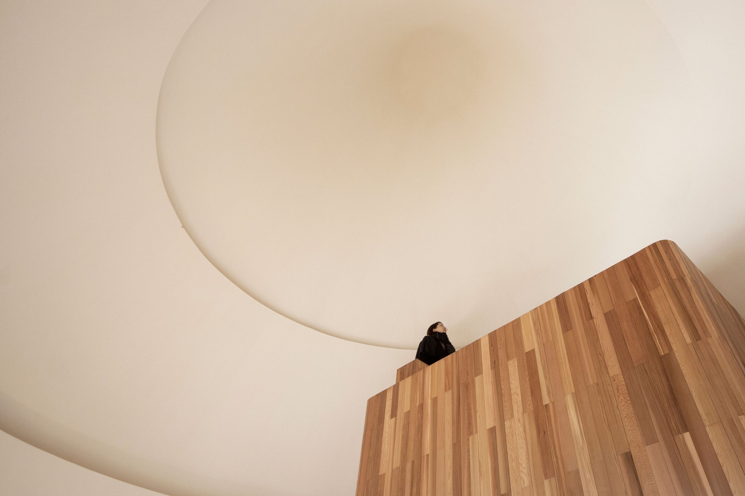ZJJZ Atelier Designs A Mushroom-Shaped Guest House In The Middle Of A ...