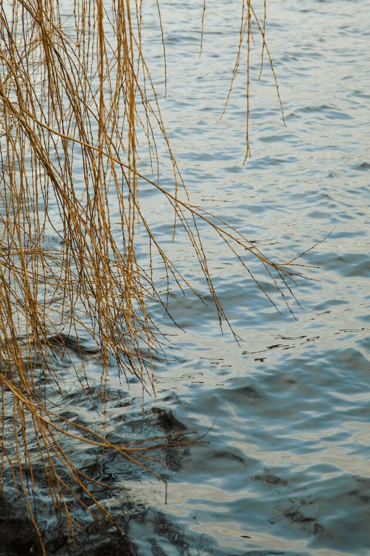 Koto’s Prefabricated Cabin Designs Are Inspired By Scandinavian And ...