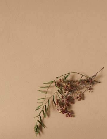 In Conversation With Clay Paint Brand Nen-do, On Bringing Earth Inside ...