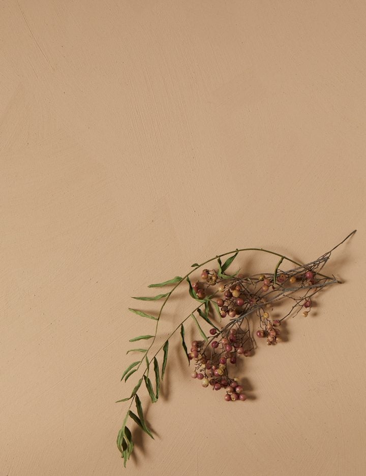 In Conversation With Clay Paint Brand Nen-do, On Bringing Earth Inside ...